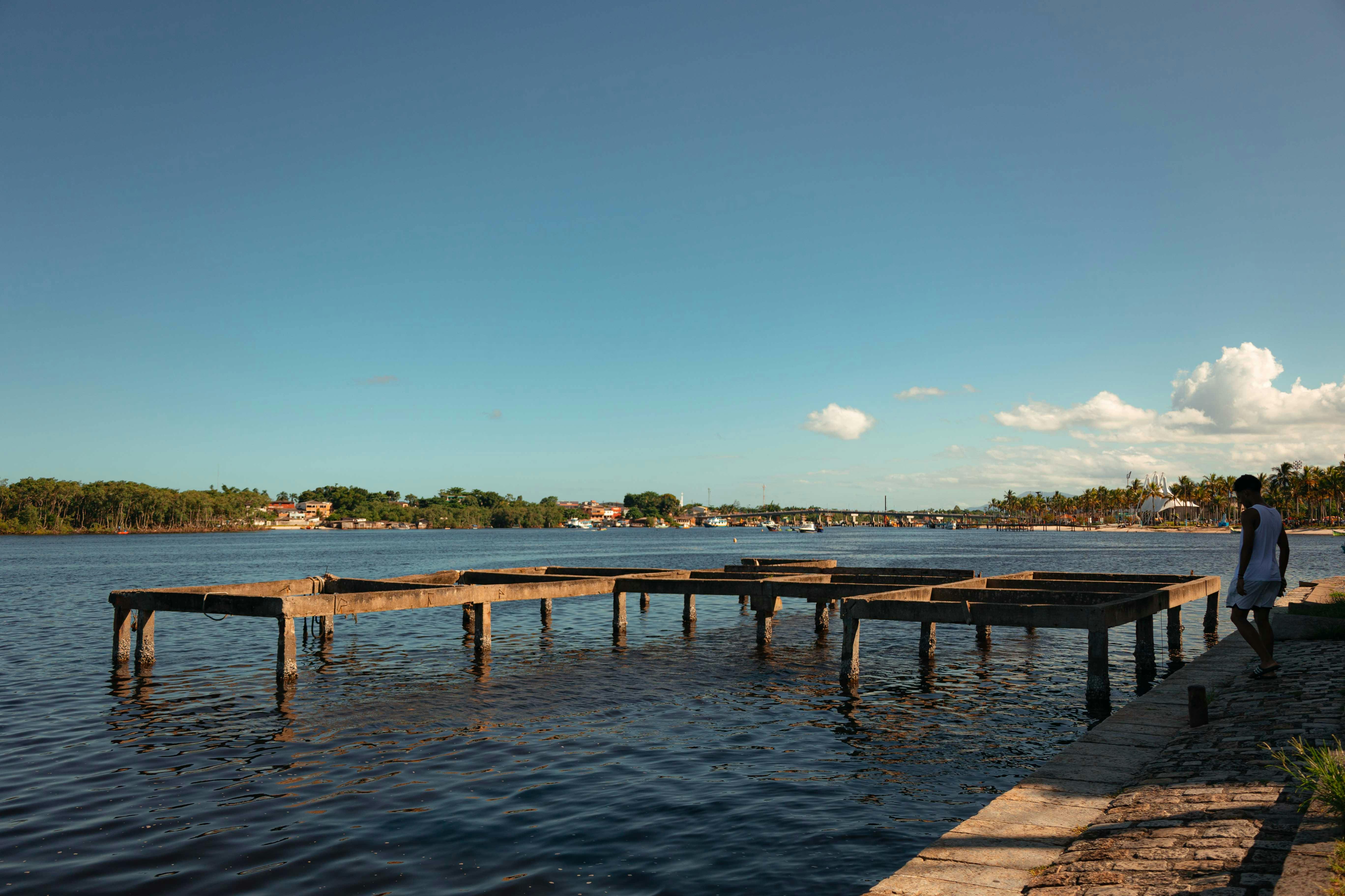 Jetty Structure by Shore · Free Stock Photo