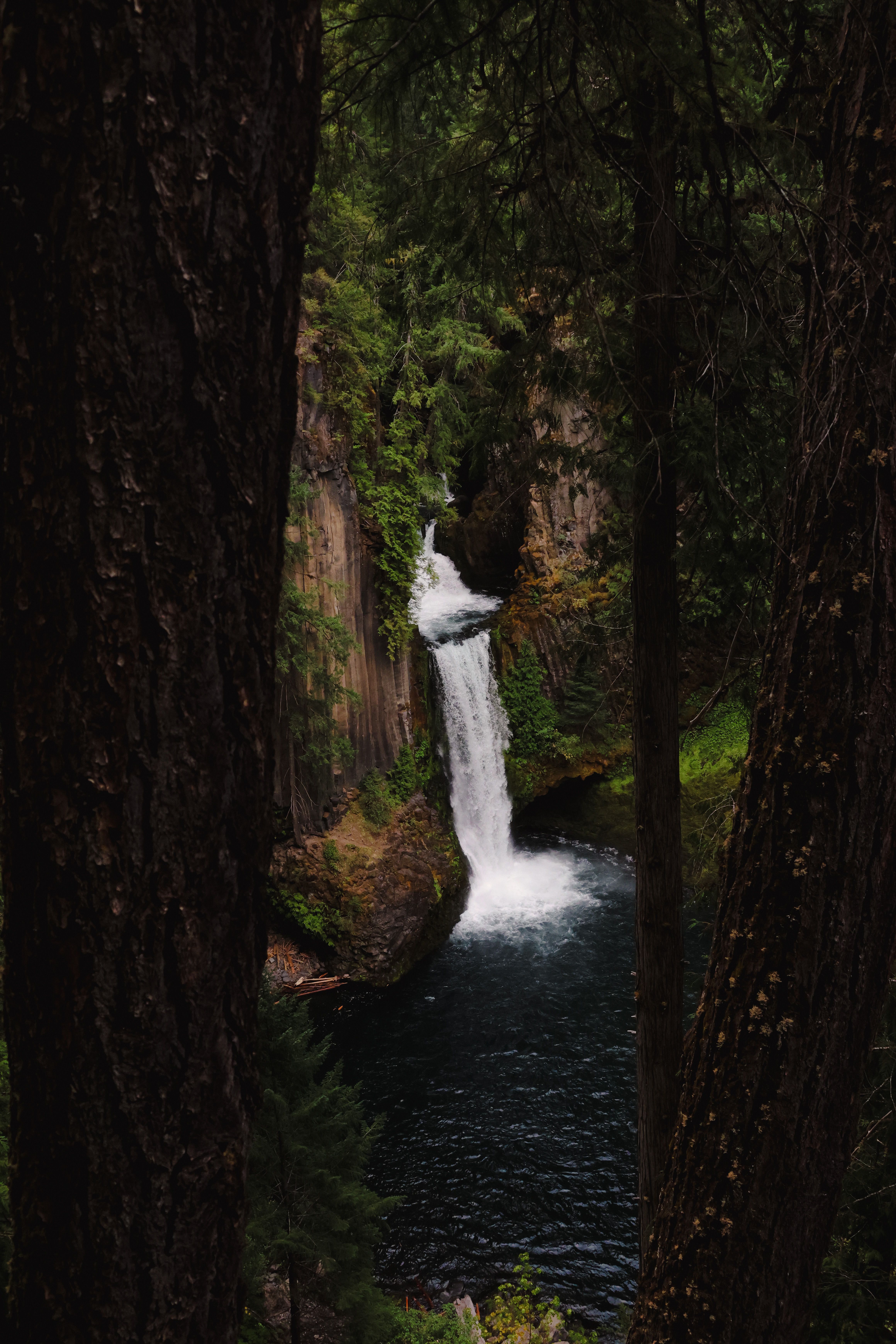 Moody waterfall · Free Stock Photo