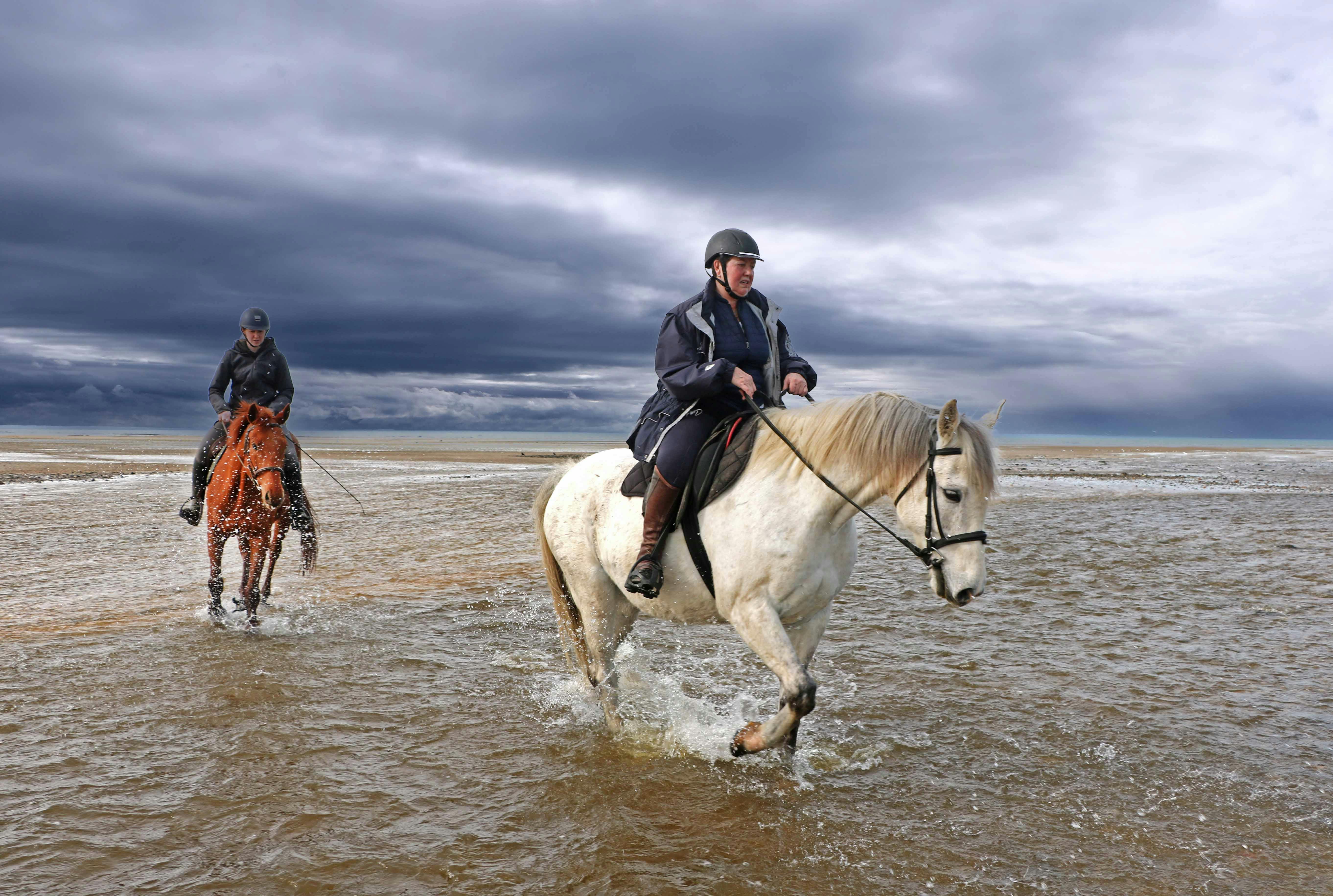 Women Riding Horses in Shallow Sea Water on the Beach · Free Stock Photo
