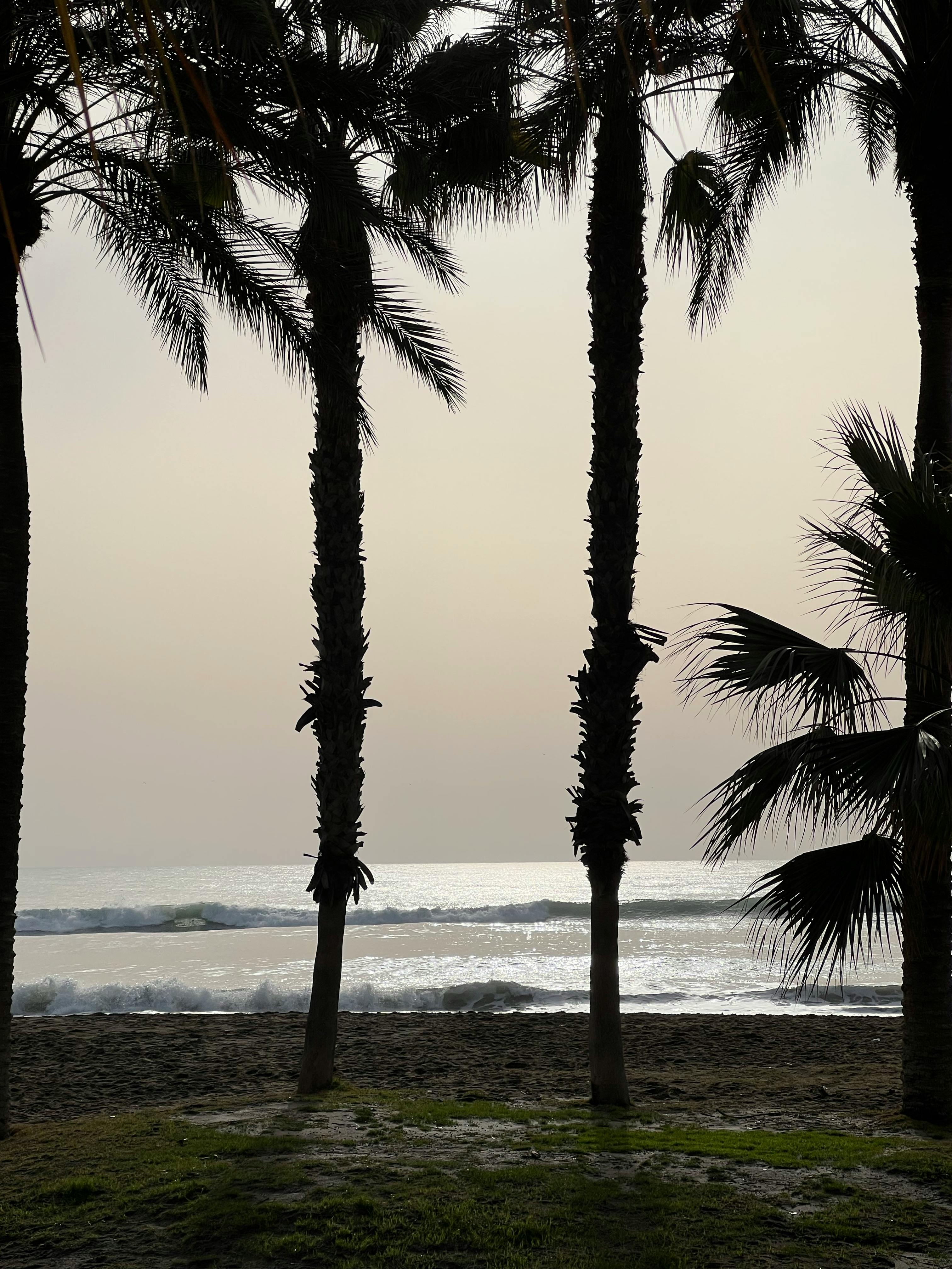 Lind Sermaxhaj - Photography