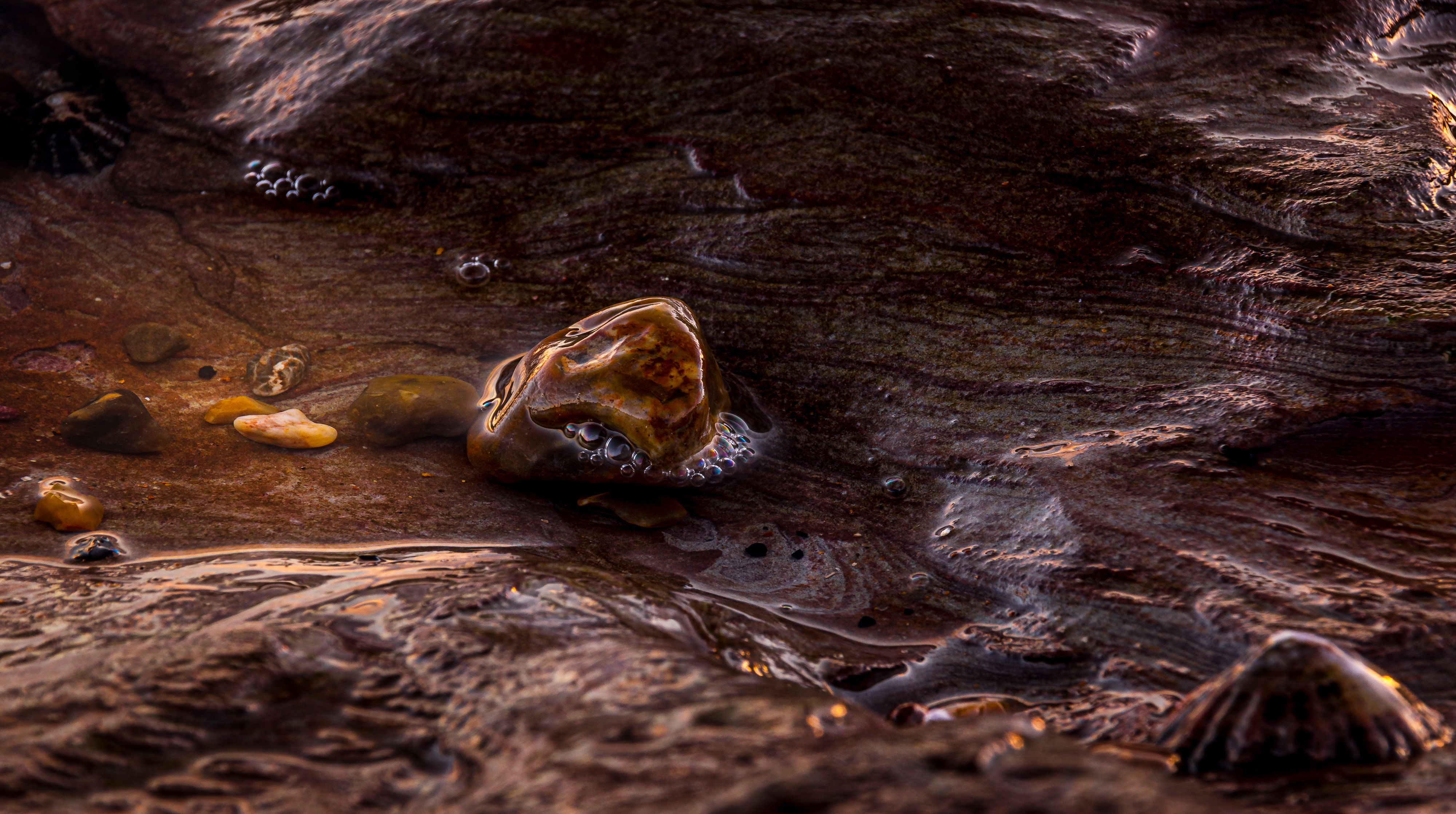 Eroded Rocks on Seashore · Free Stock Photo