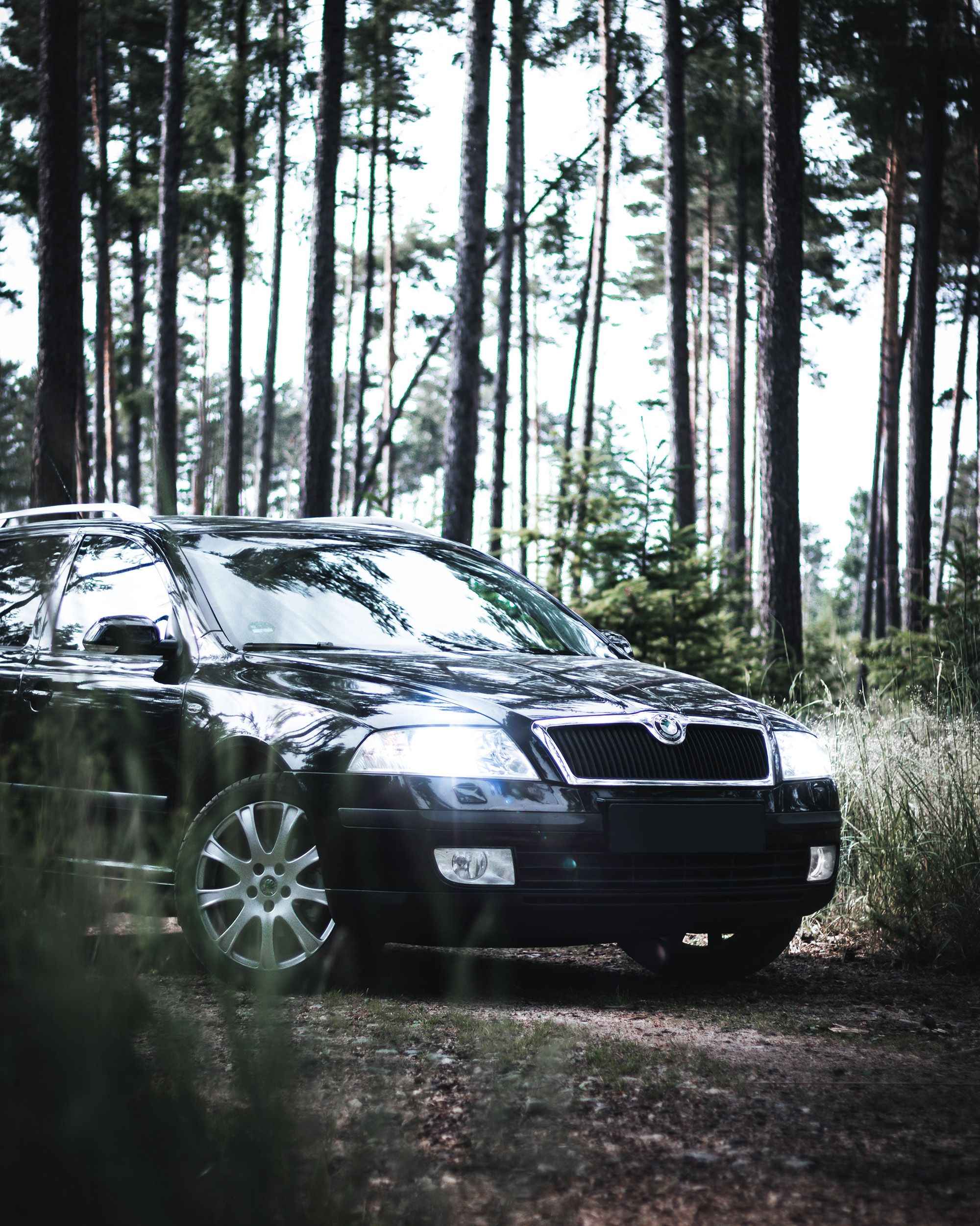 Car on Forest Road · Free Stock Photo