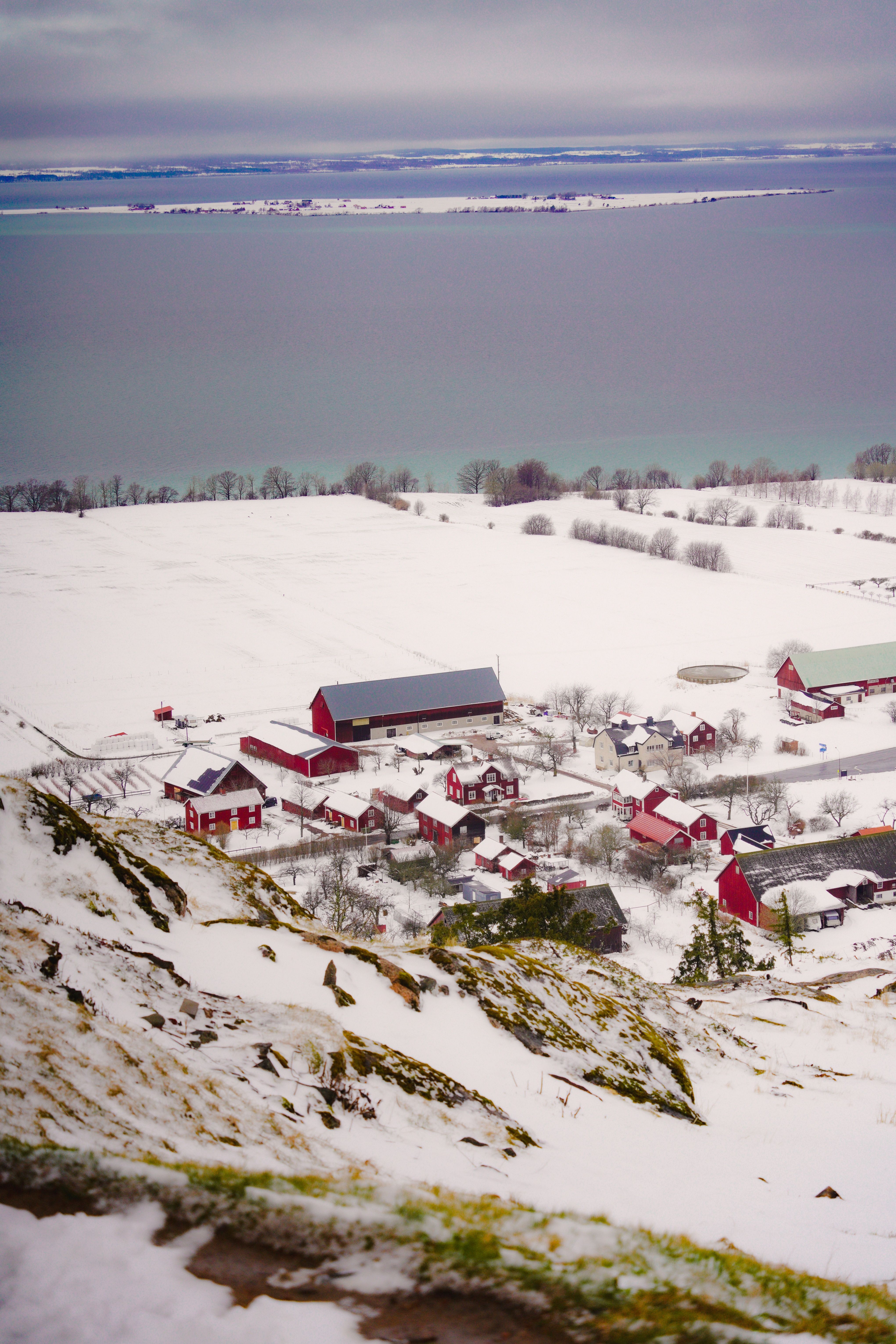 Red Houses in Village in Sweden · Free Stock Photo