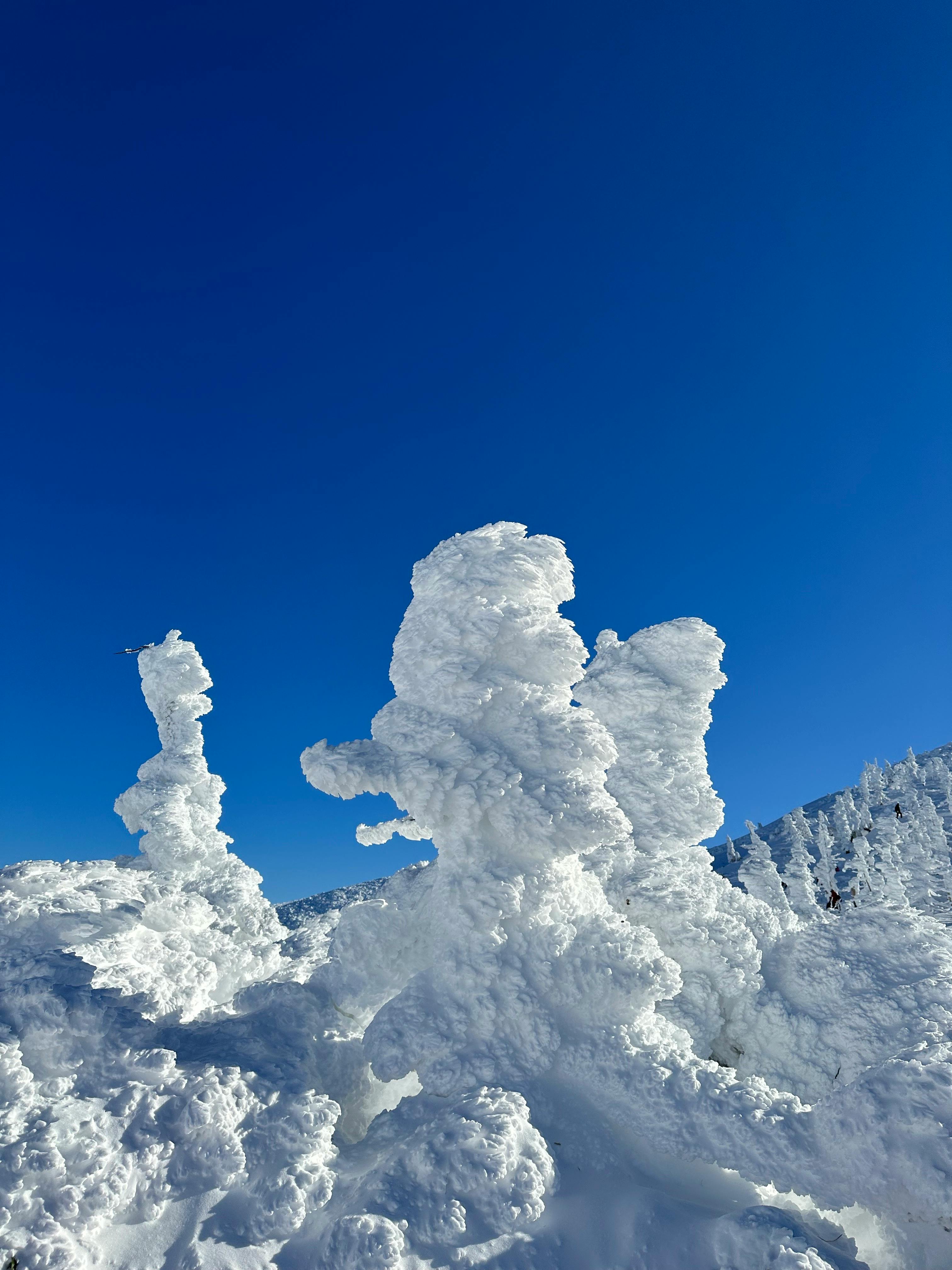 Snow Monsters Photos, Download The BEST Free Snow Monsters Stock Photos ...