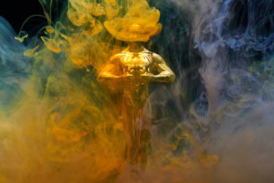 Winning Photos, Download The BEST Free Winning Stock Photos & HD Images