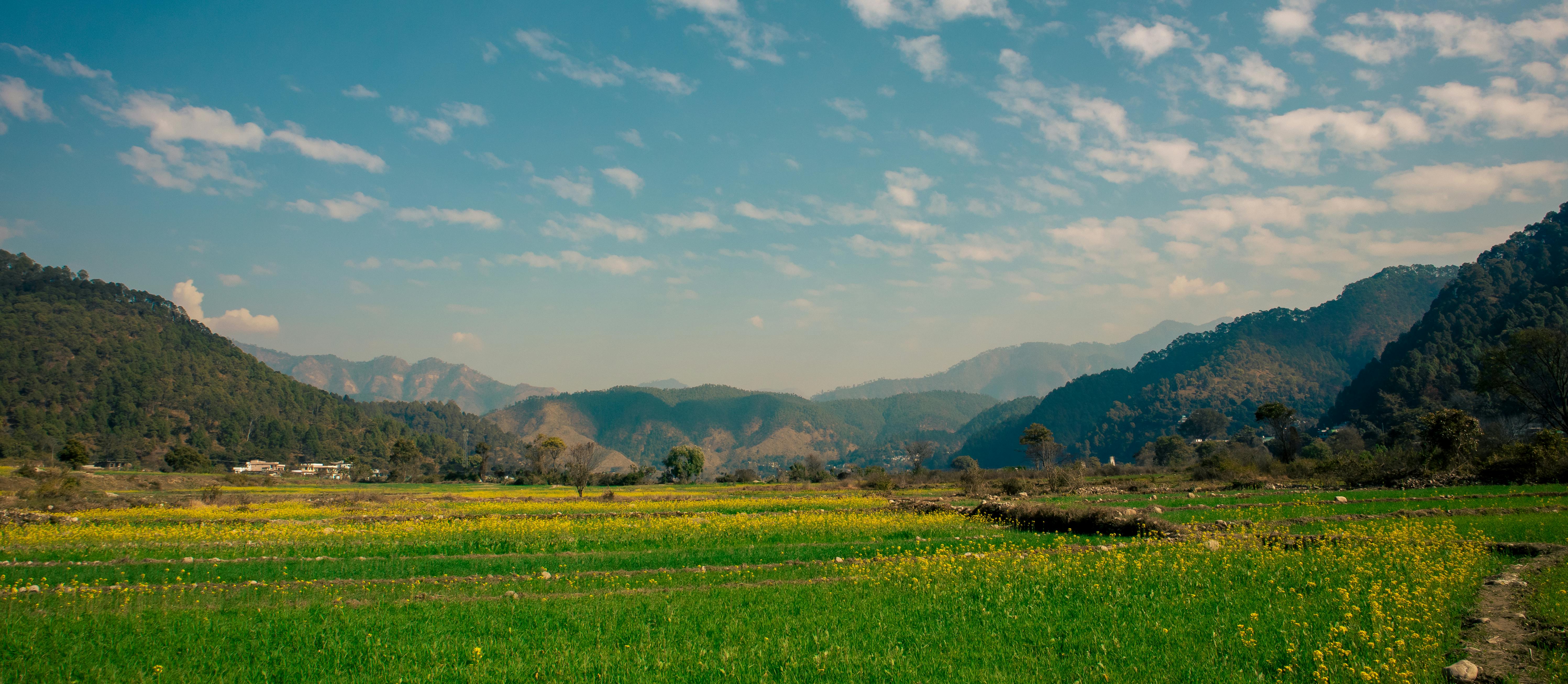 Farmland India Photos, Download The BEST Free Farmland India Stock ...
