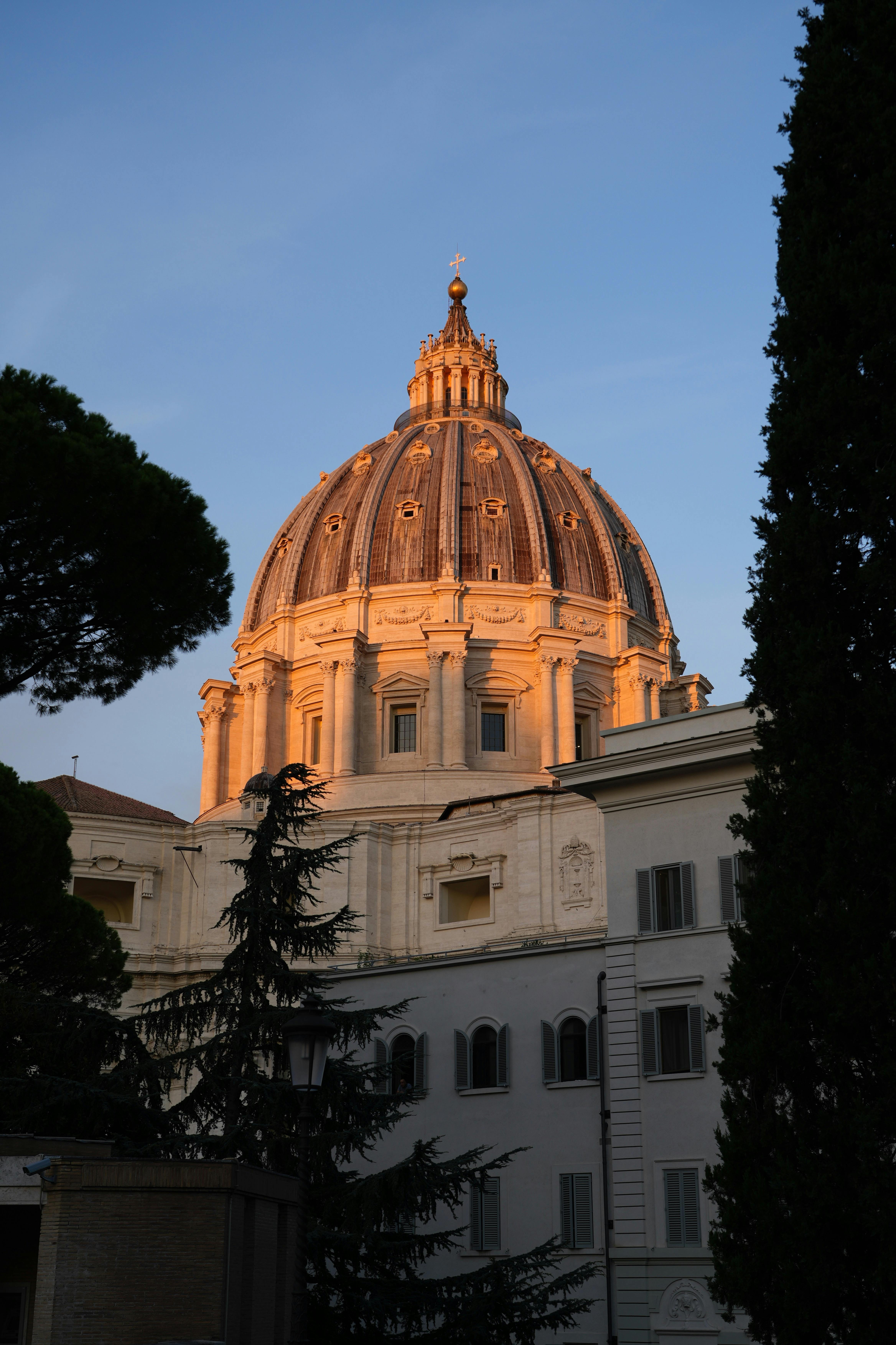 Papal Tree Photos, Download The BEST Free Papal Tree Stock Photos & HD ...