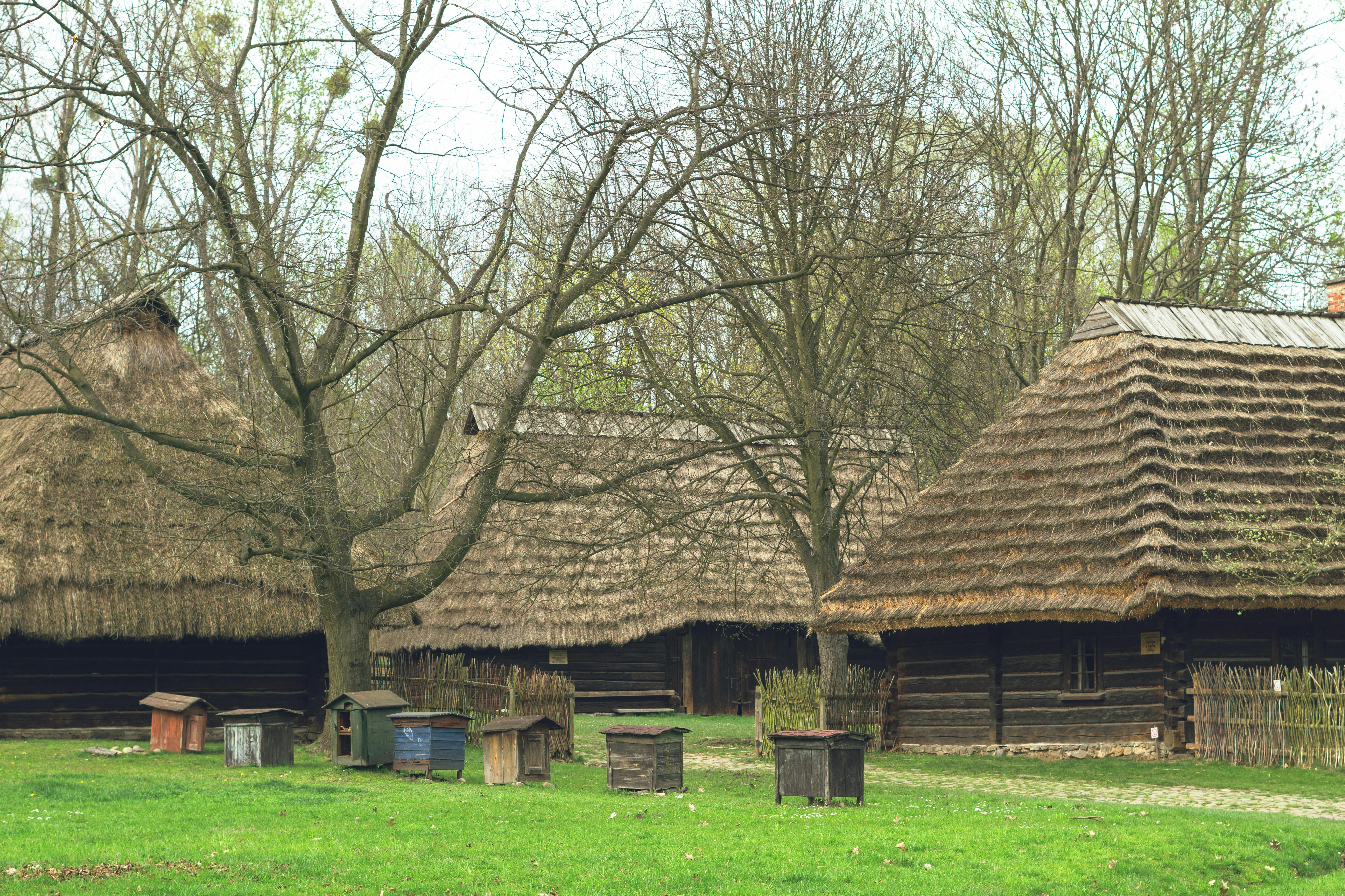 Pathway to House · Free Stock Photo