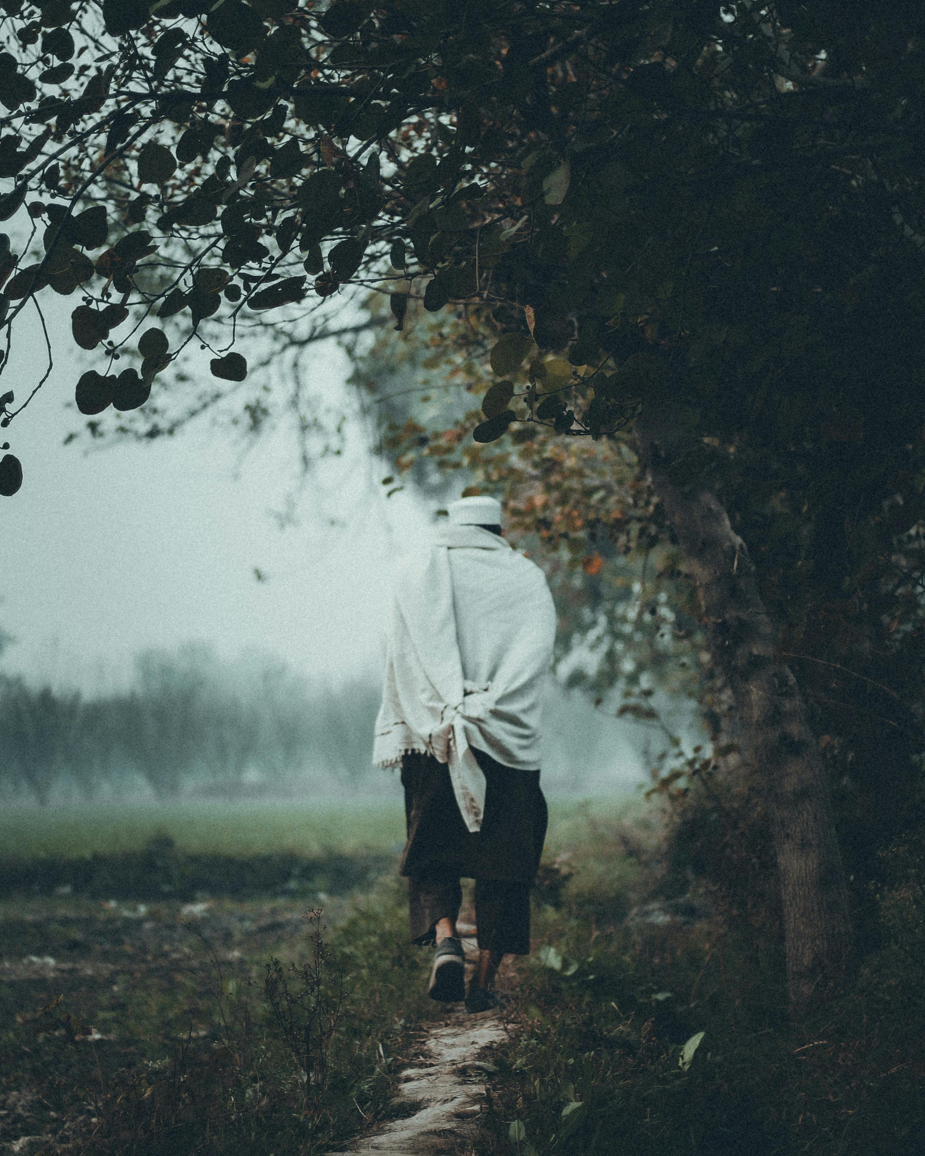 Peshawar Pakistan Mane Gate Photos, Download The BEST Free Peshawar ...