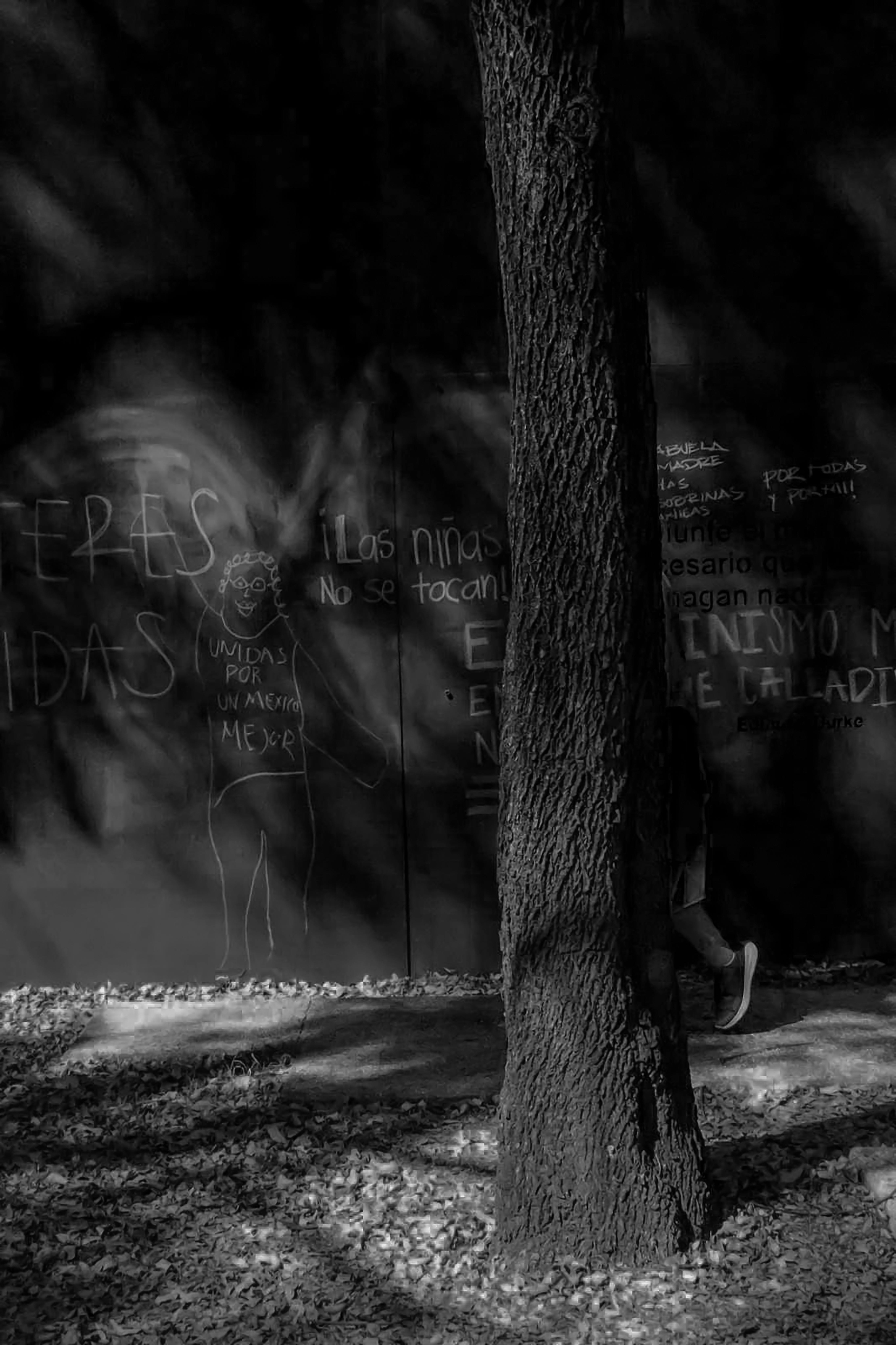 Slogans On Wall Photos, Download The BEST Free Slogans On Wall Stock ...