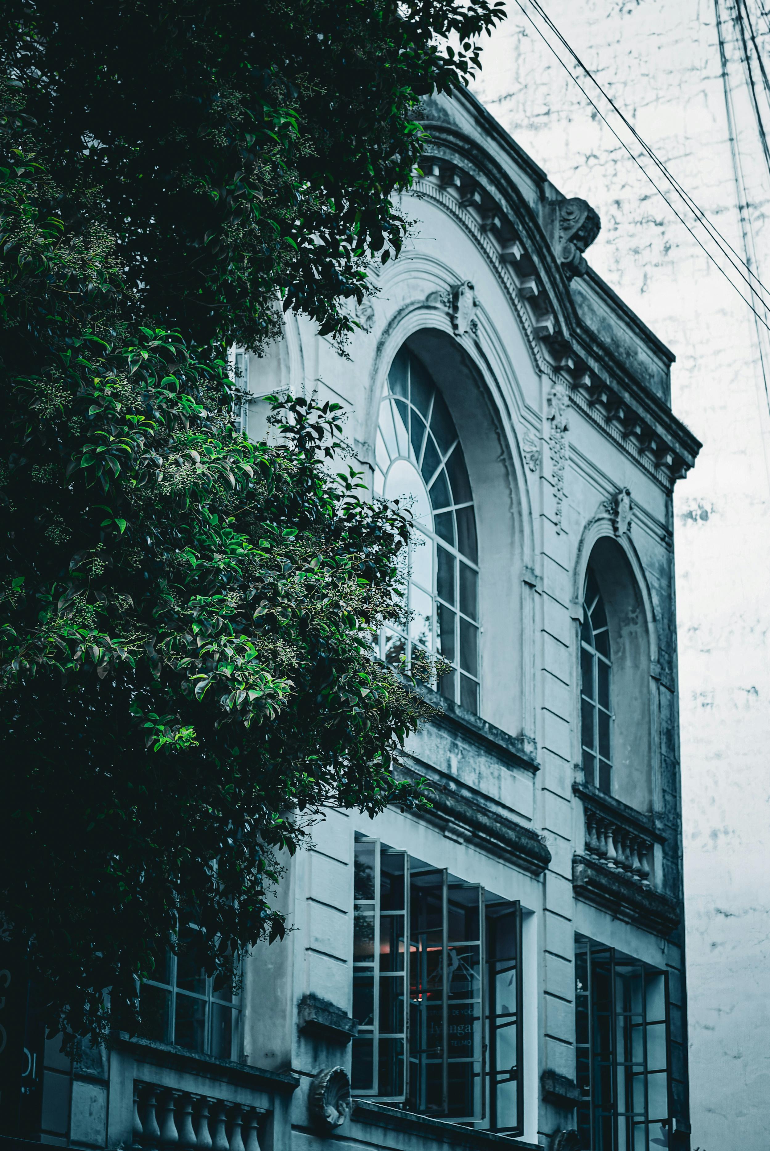 A building with a green tree in front of it · Free Stock Photo