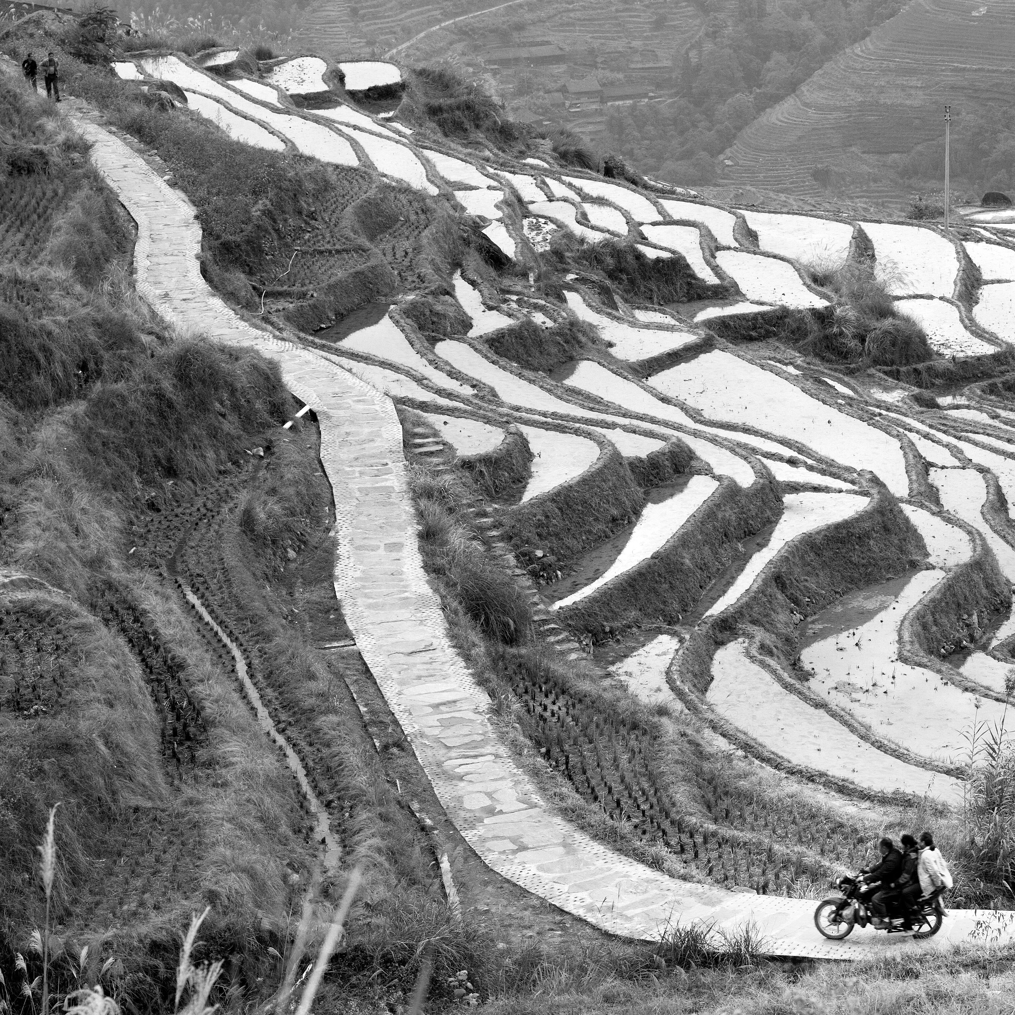 Road over Terraced Fields · Free Stock Photo