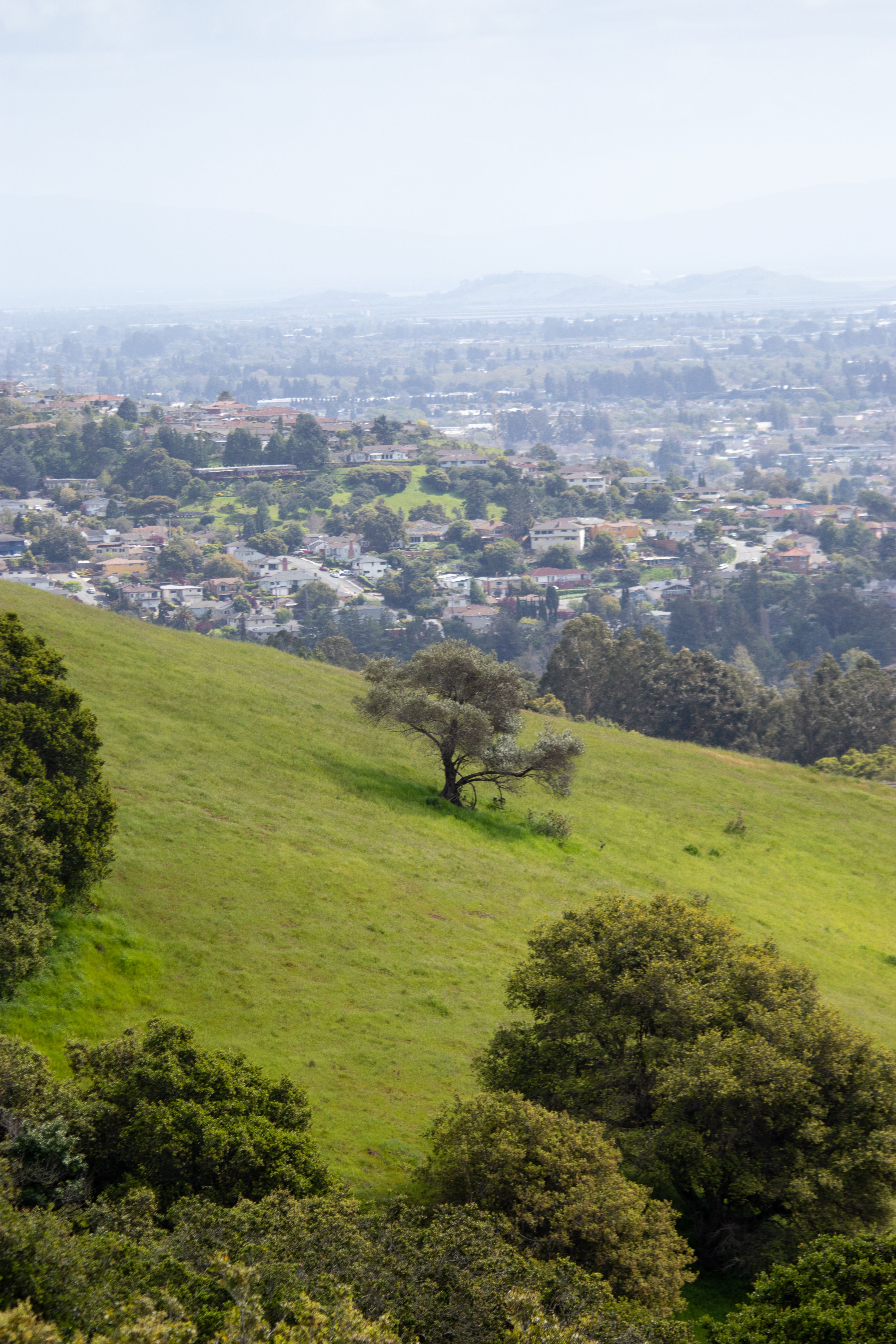 A view of a city and a hillside · Free Stock Photo