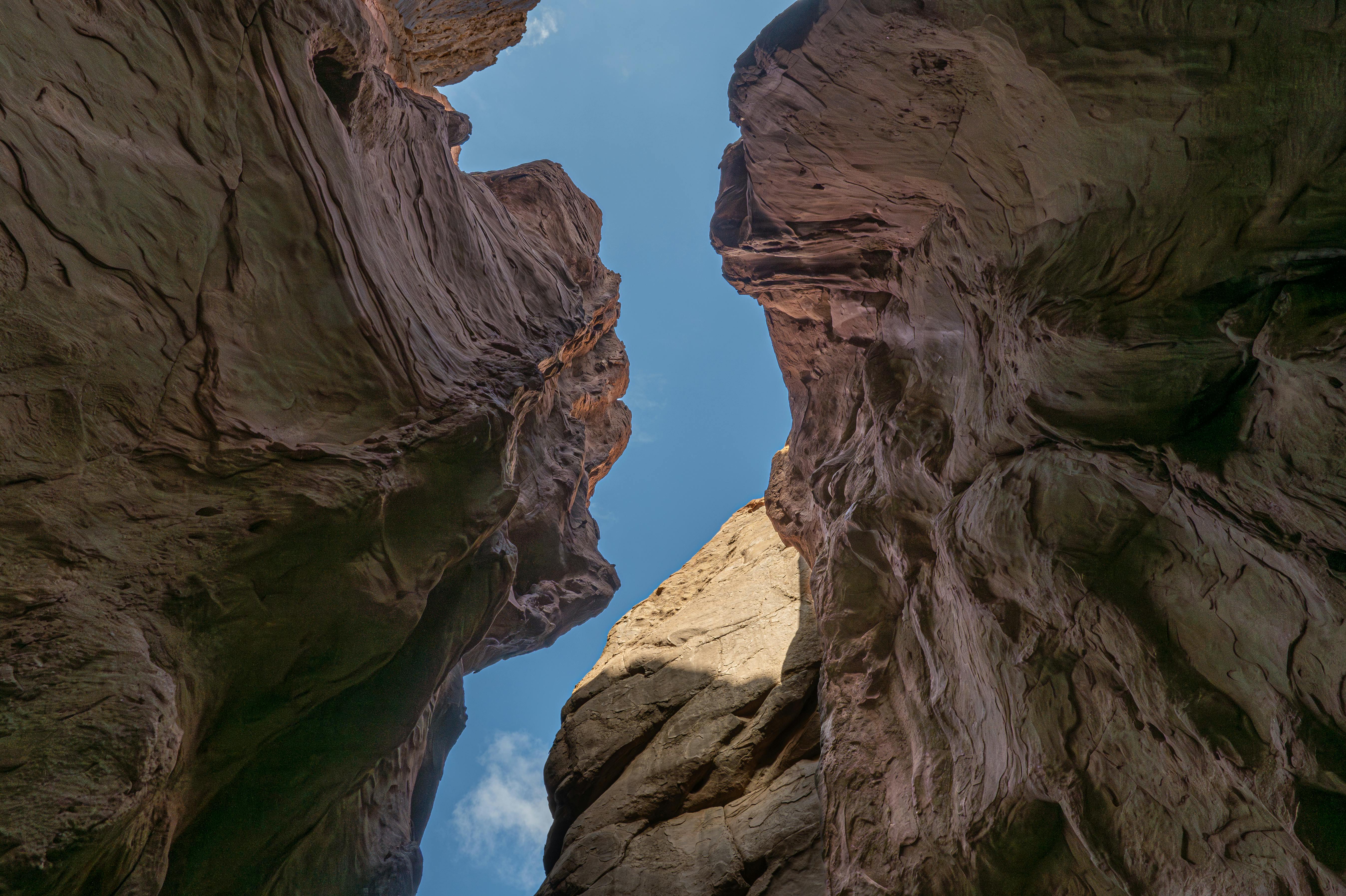 Raja · Free Stock Photo