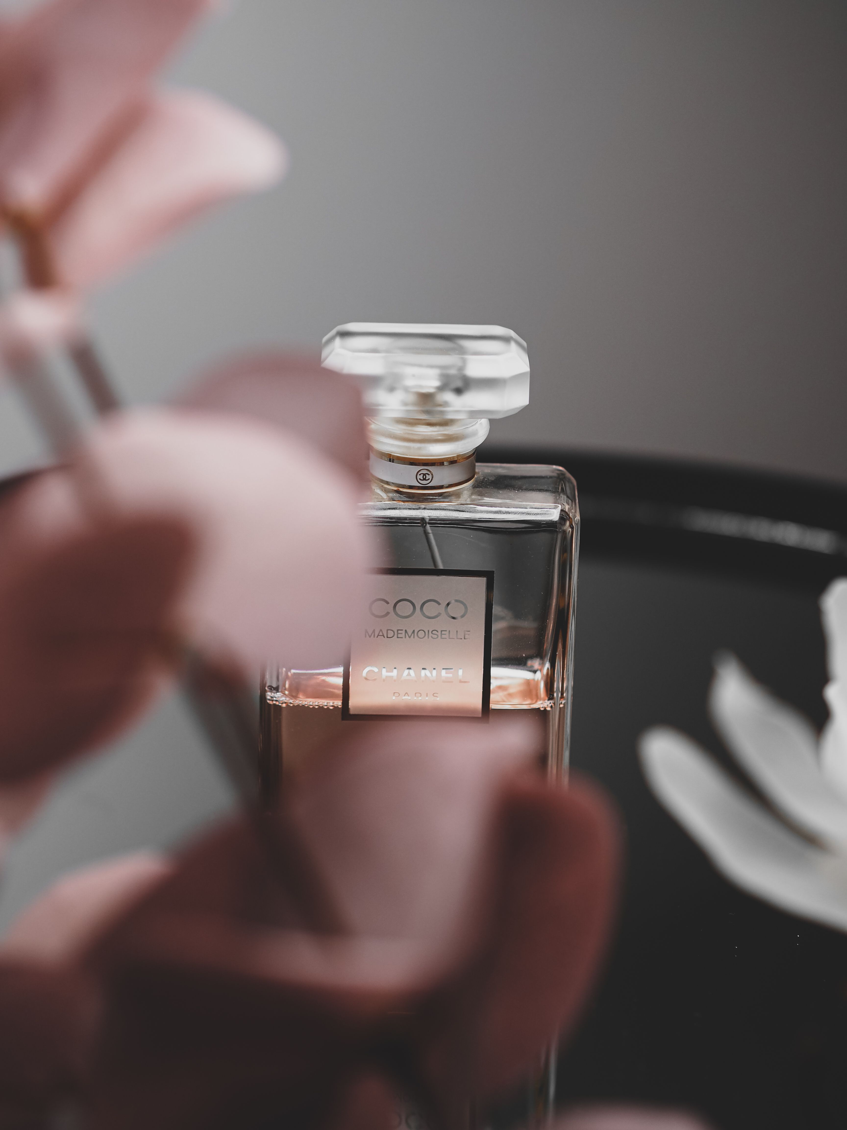 Vial of Perfume · Free Stock Photo