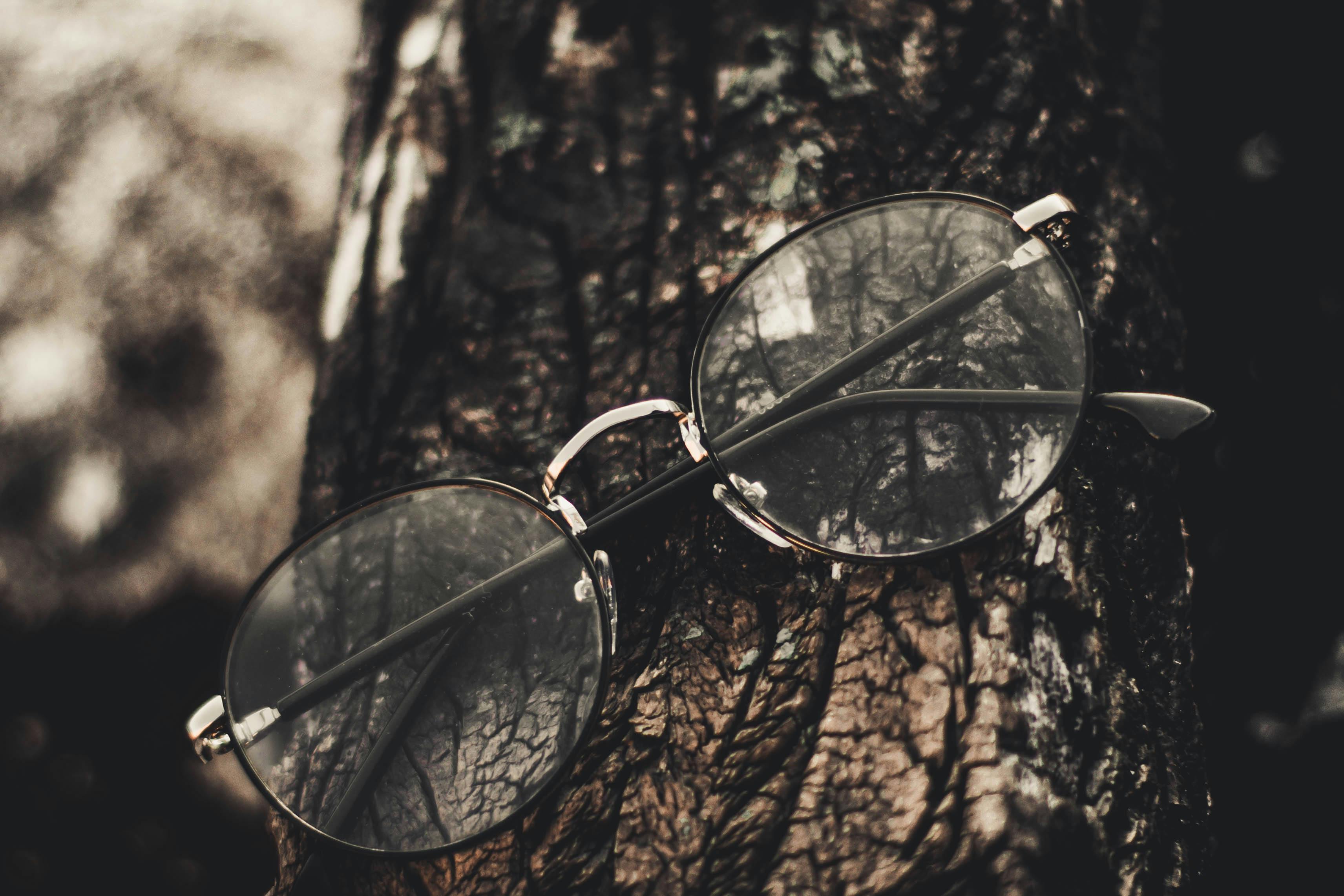 Free stock photo of [object Object], [object Object], [object Object ...