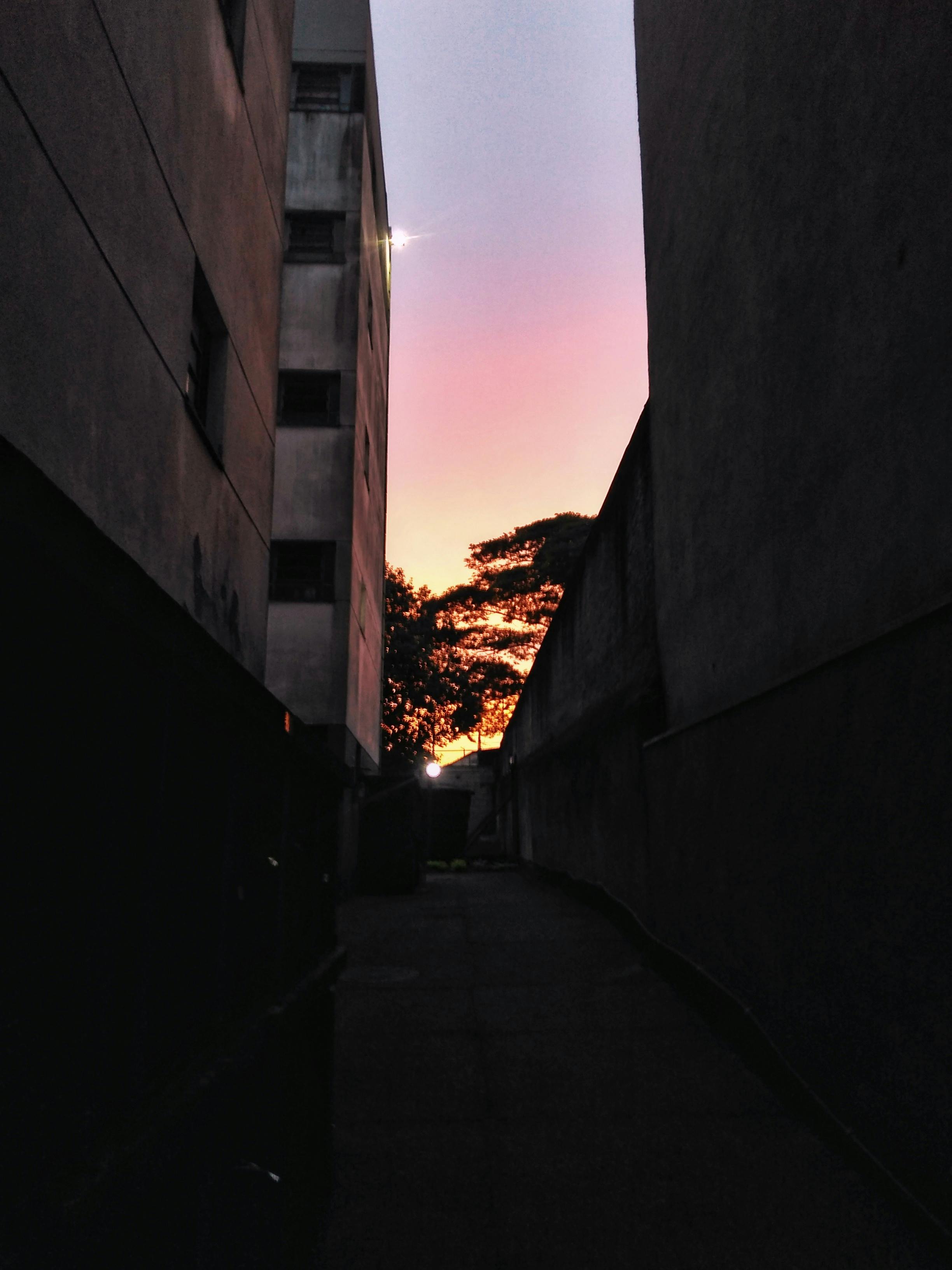 Empty Alley · Free Stock Photo