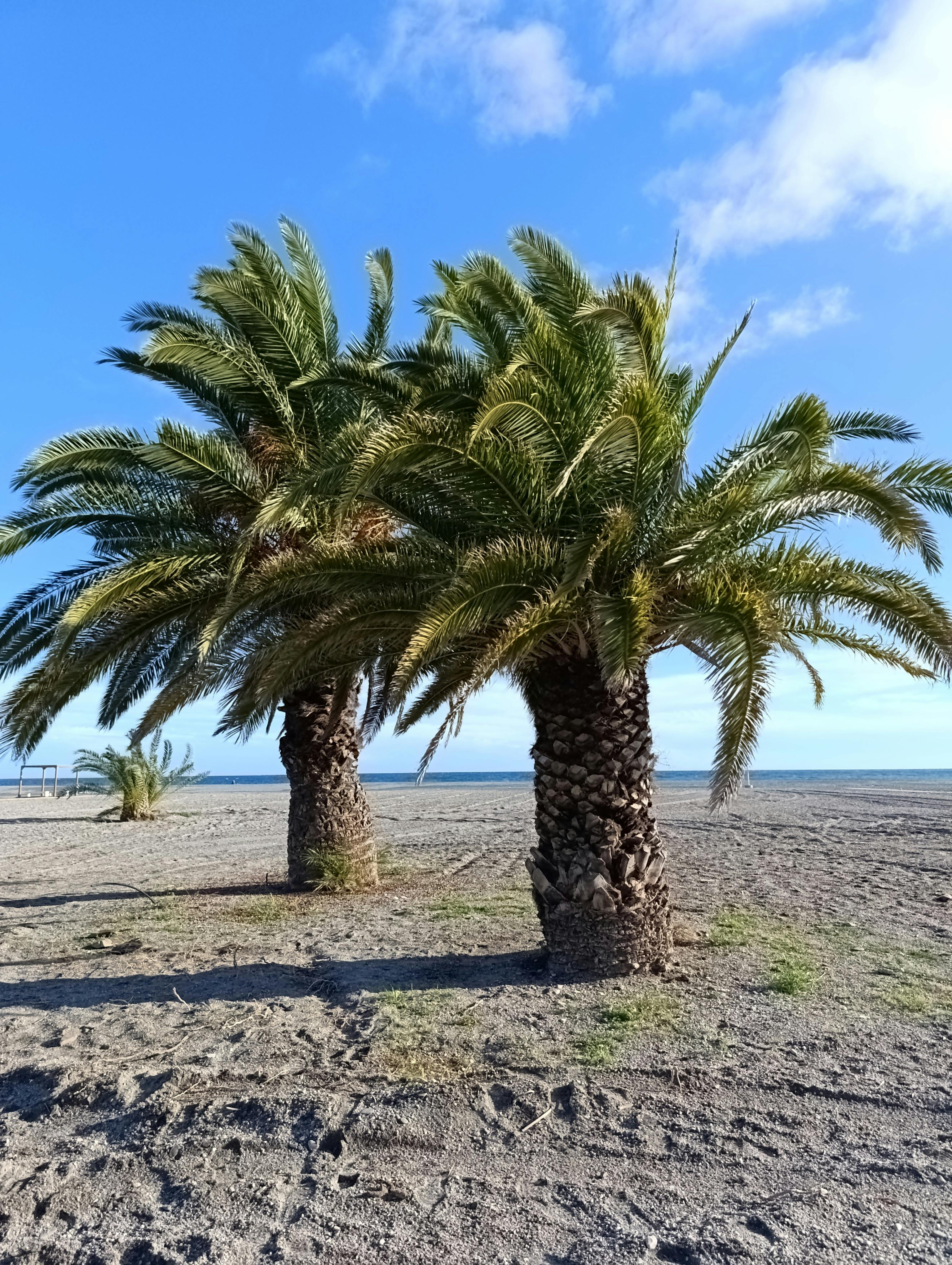 Motril Spain Photos, Download The BEST Free Motril Spain Stock Photos ...