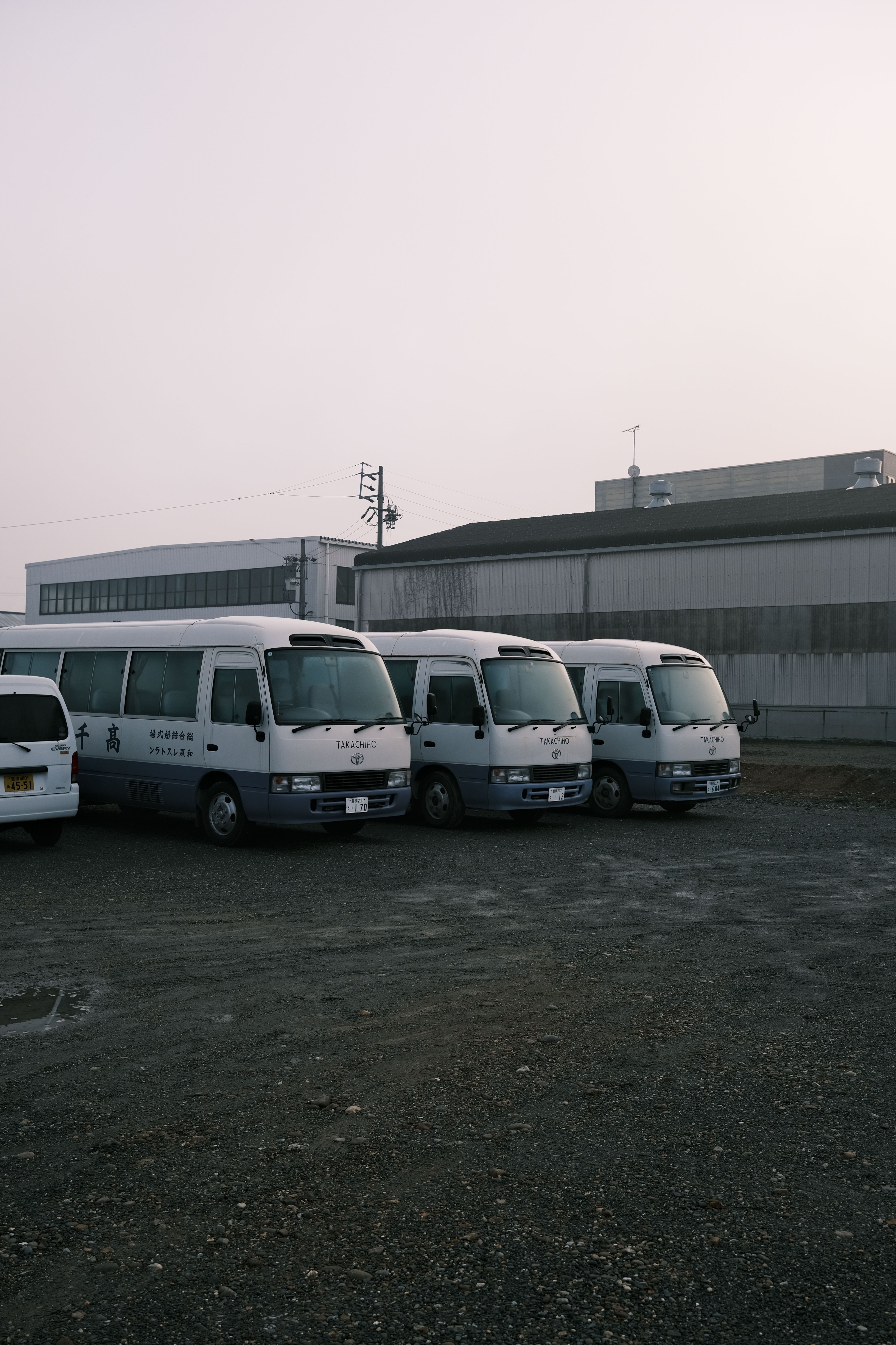 A group of white buses parked in front of a building · Free Stock Photo