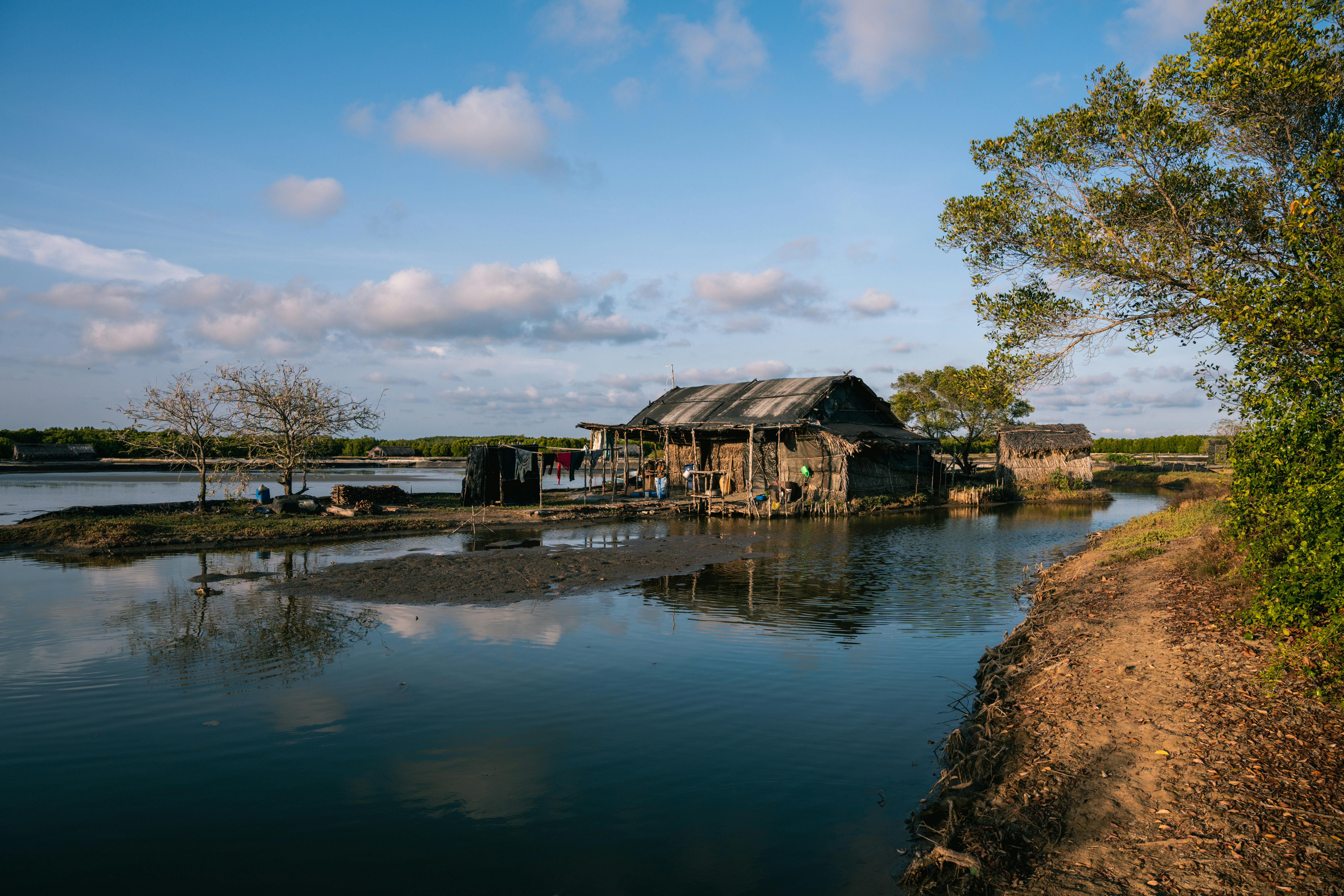 Wooden Cottage on Lake · Free Stock Photo