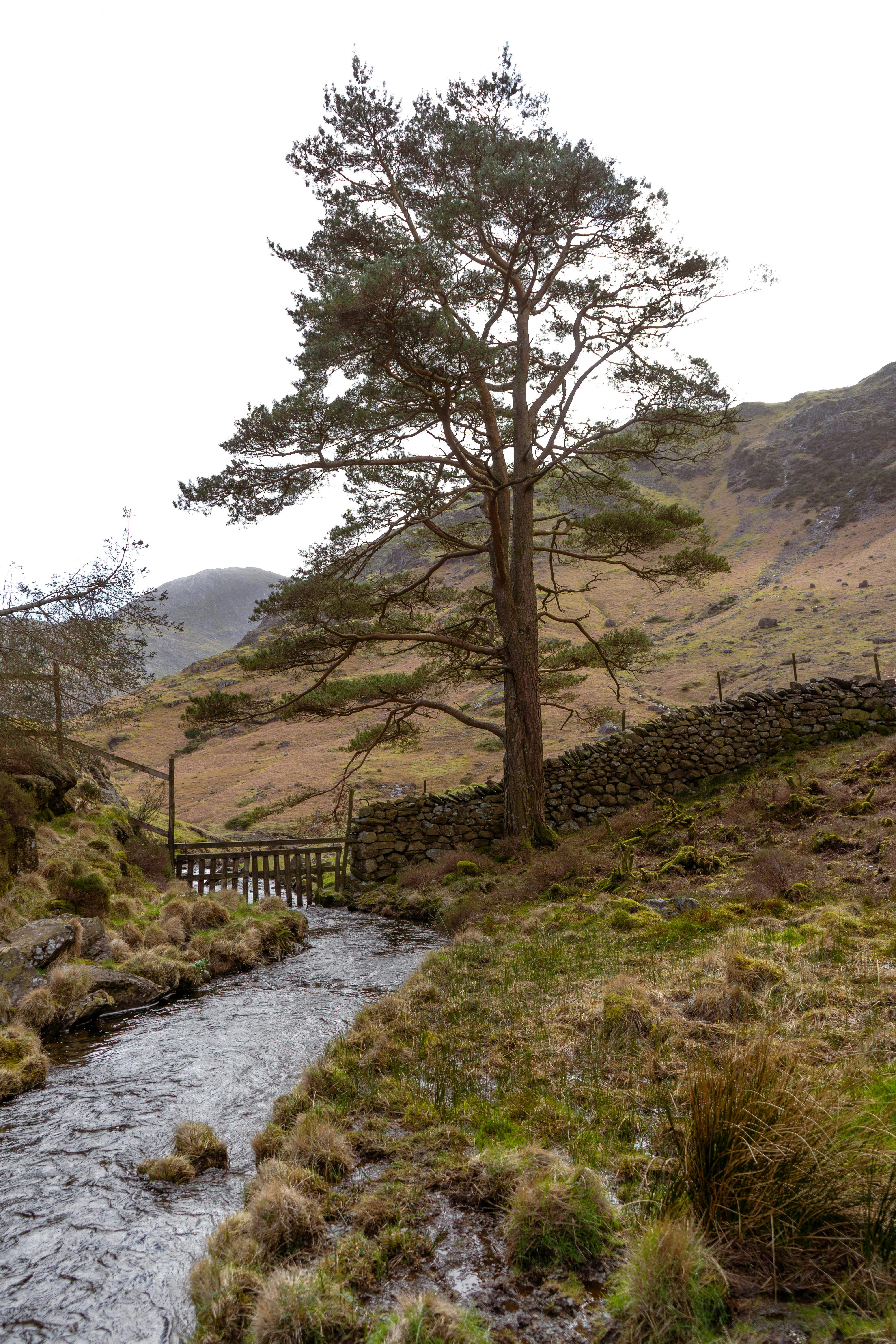 ANA TINCA - Photography