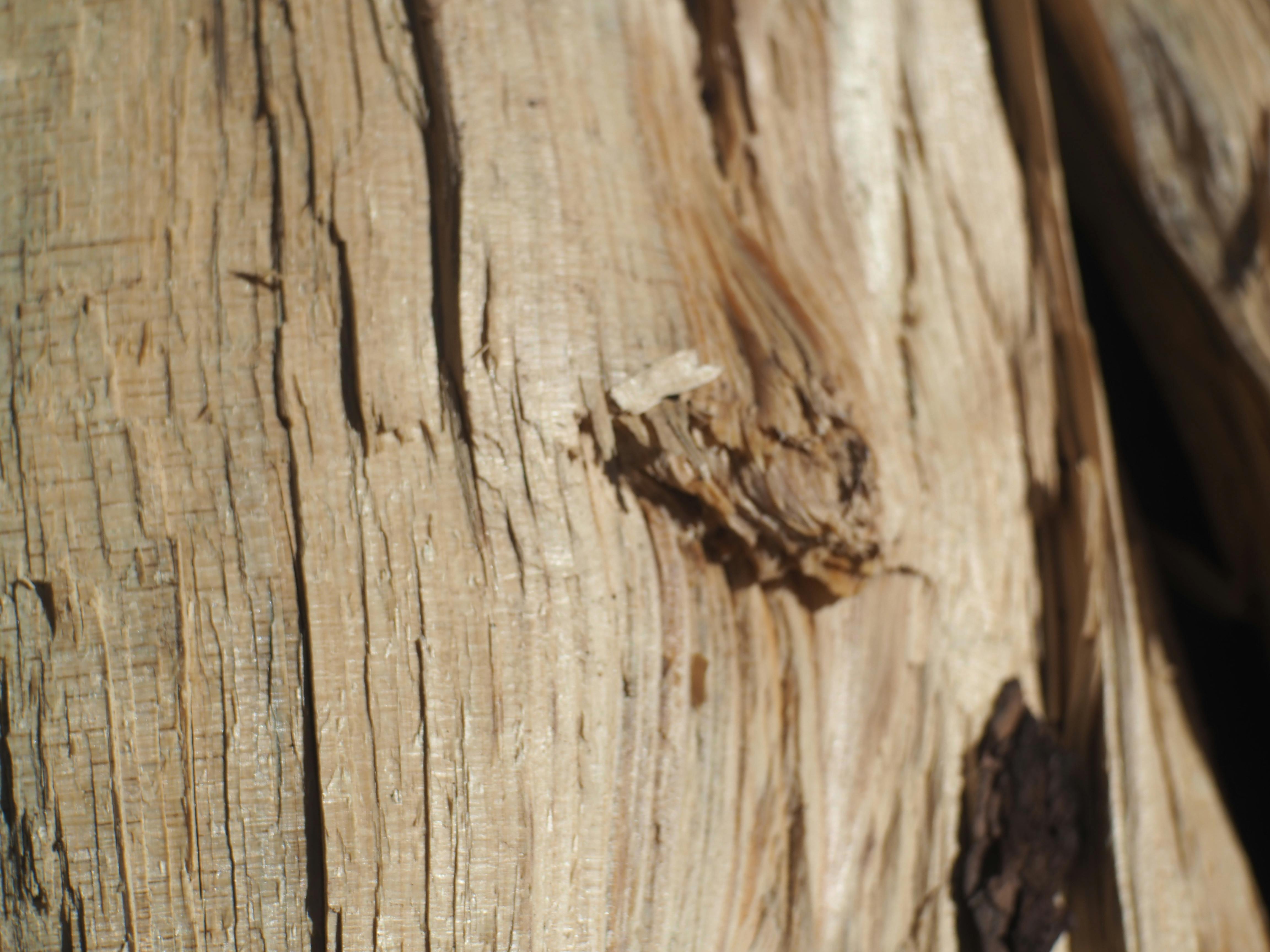 Maria Soler - Fotografía