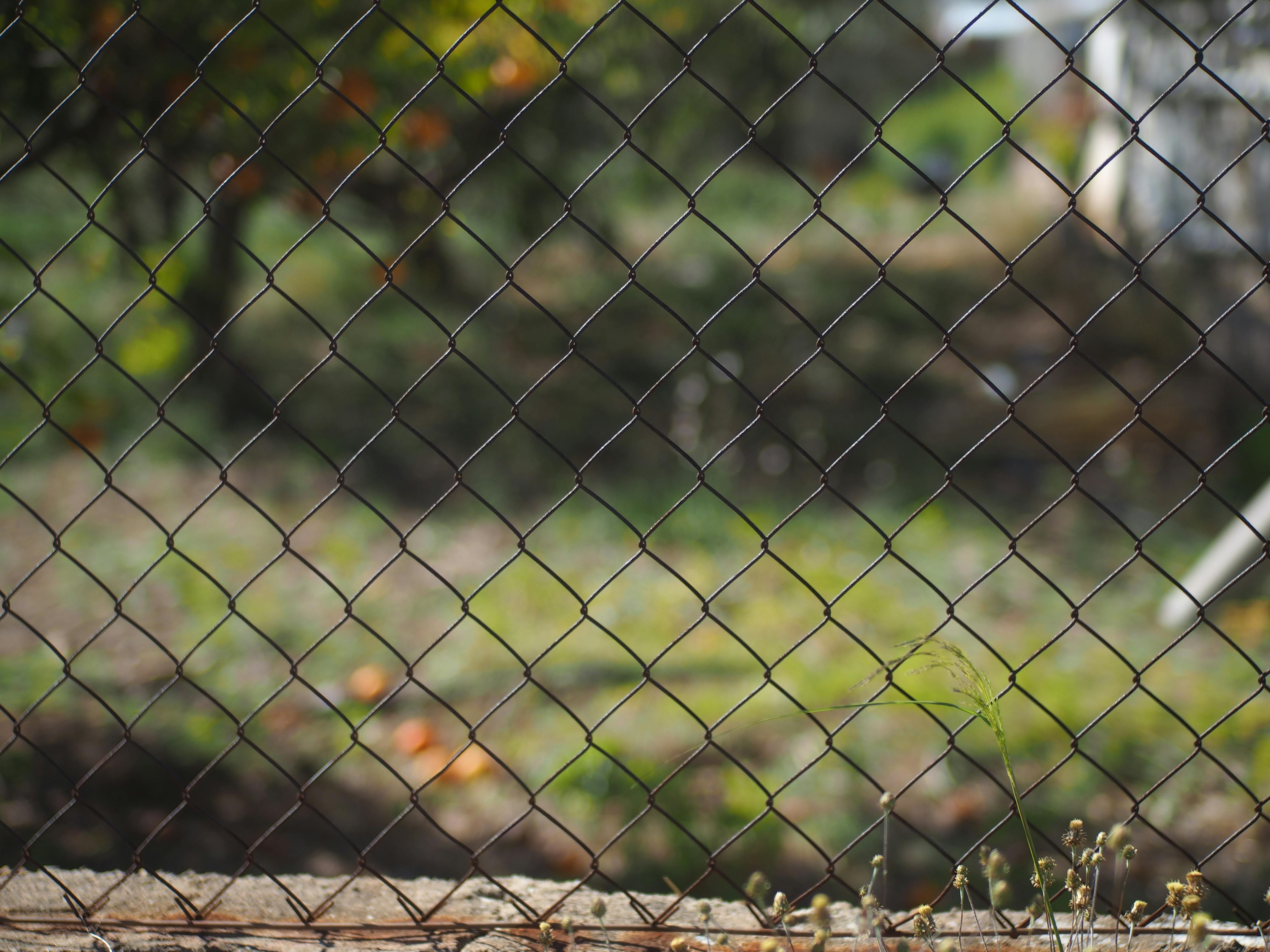 Maria Soler - Fotografía