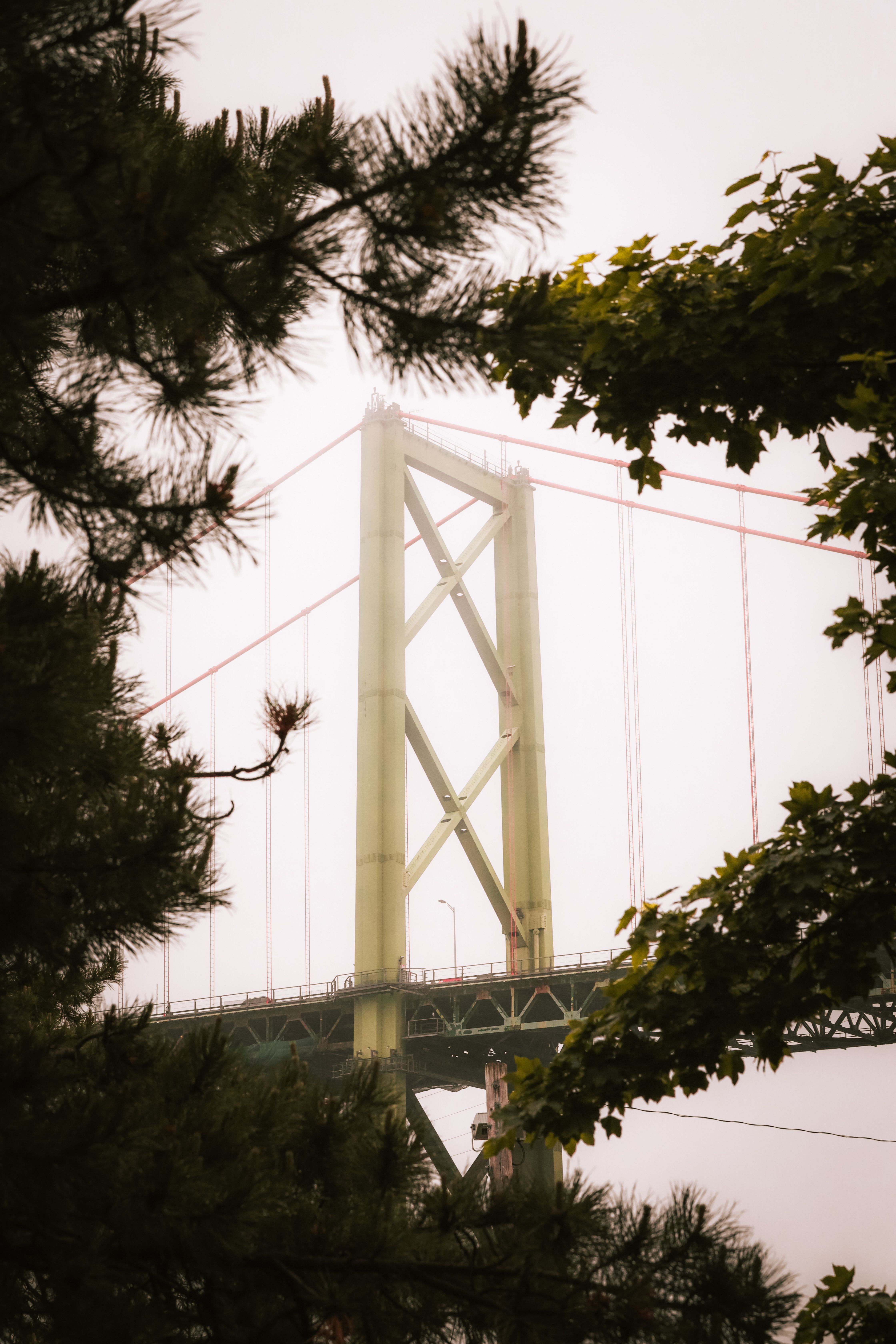 White Bridge next to Trees · Free Stock Photo