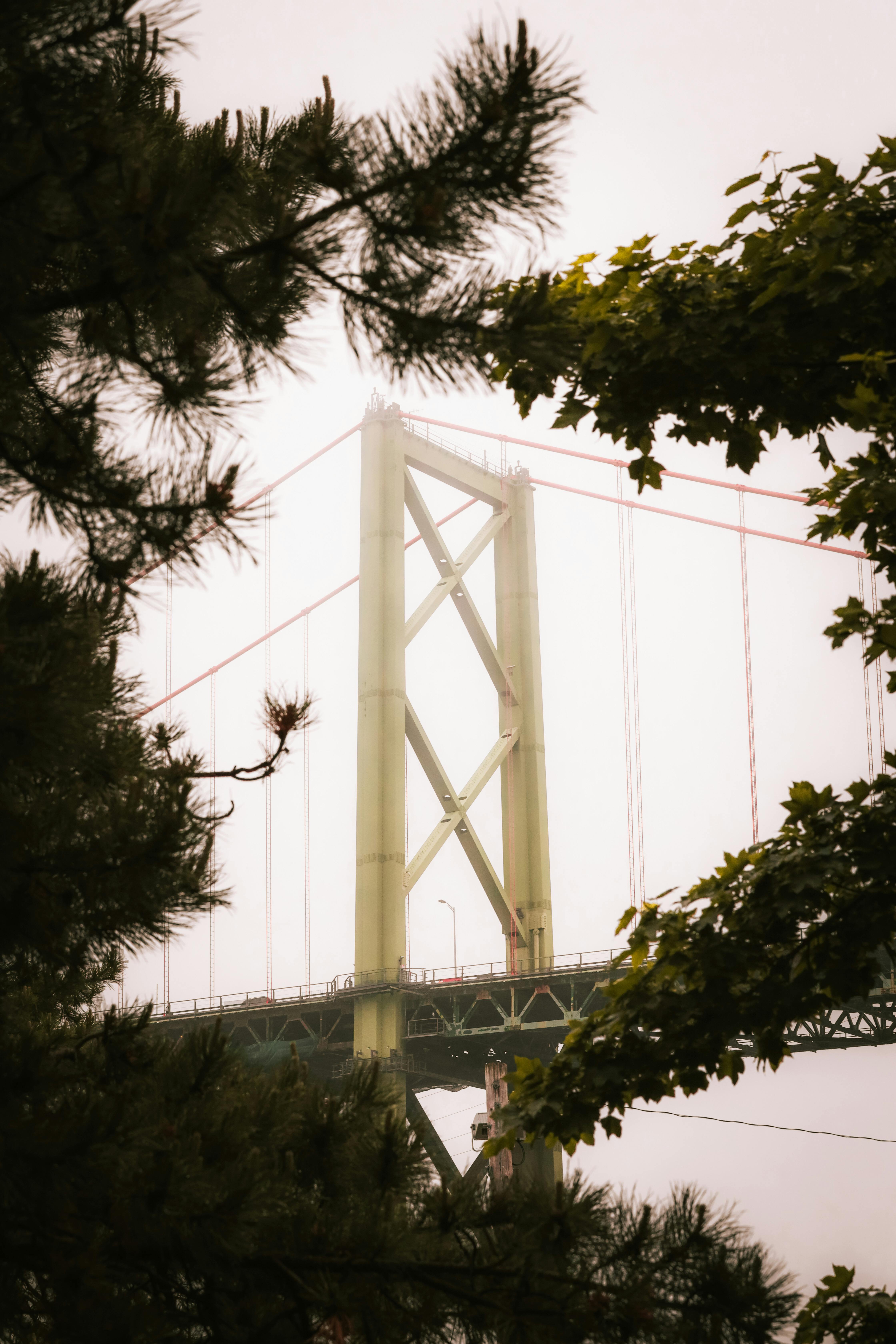 White Bridge next to Trees · Free Stock Photo