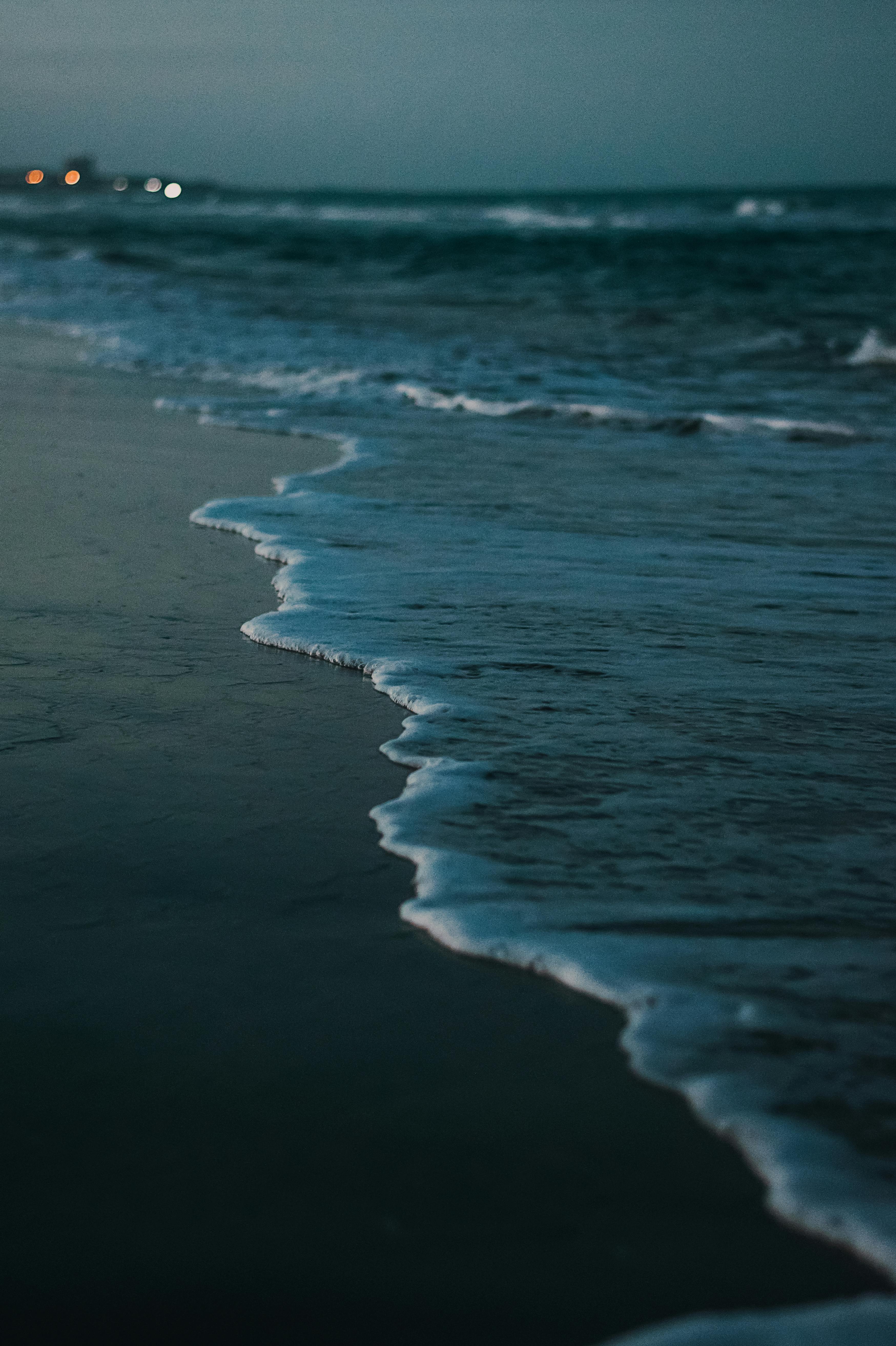 Seashore · Free Stock Photo