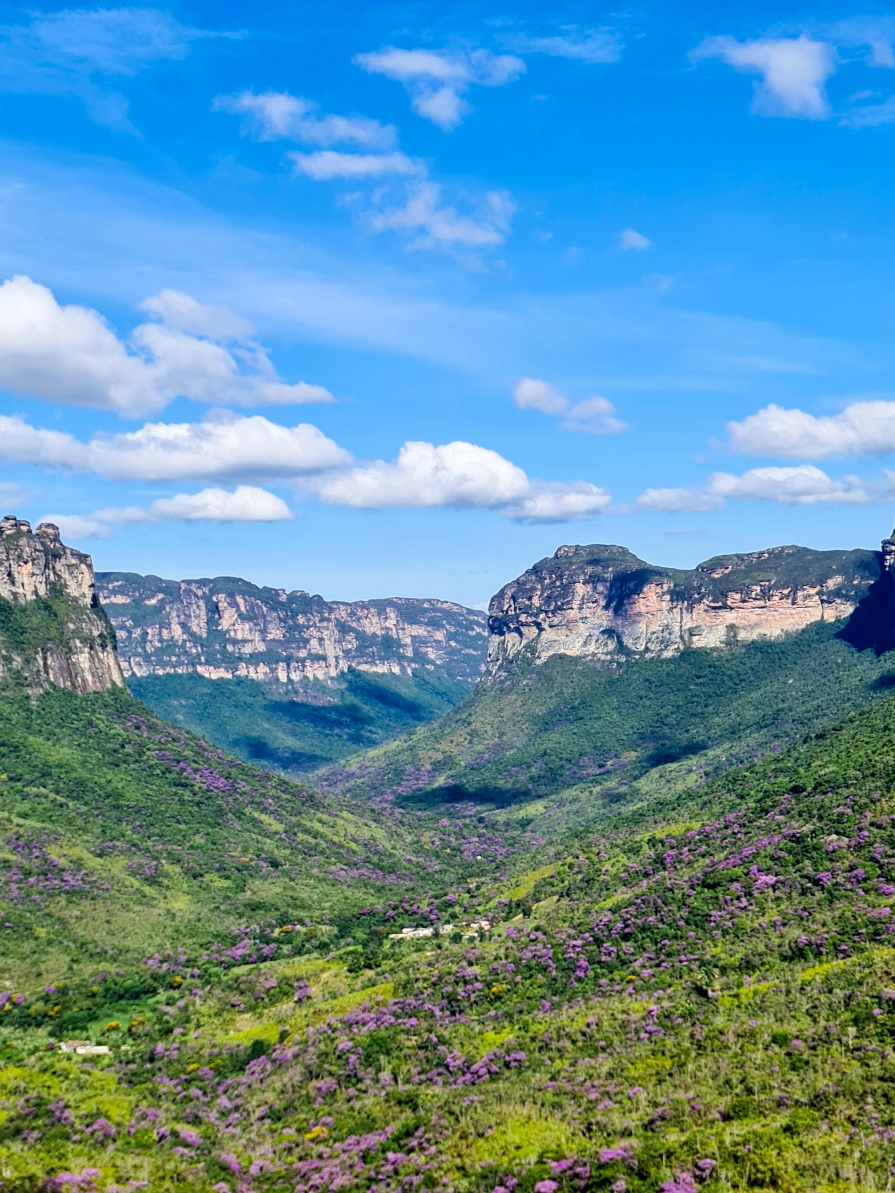 Valley Between Mountains in Chapada Diamantina National Park in Brazil ...