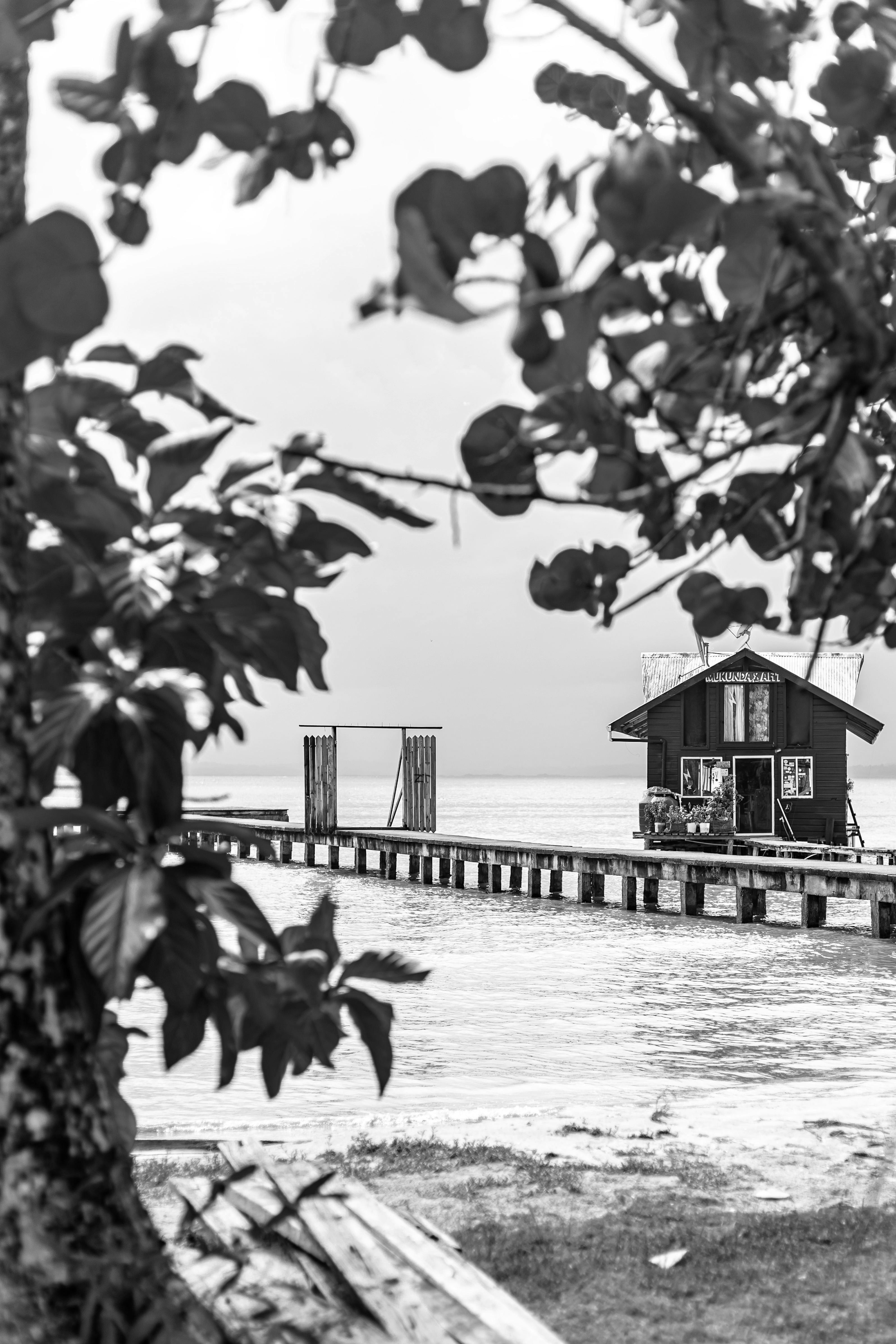 Guam Shop Photos, Download The BEST Free Guam Shop Stock Photos & HD Images