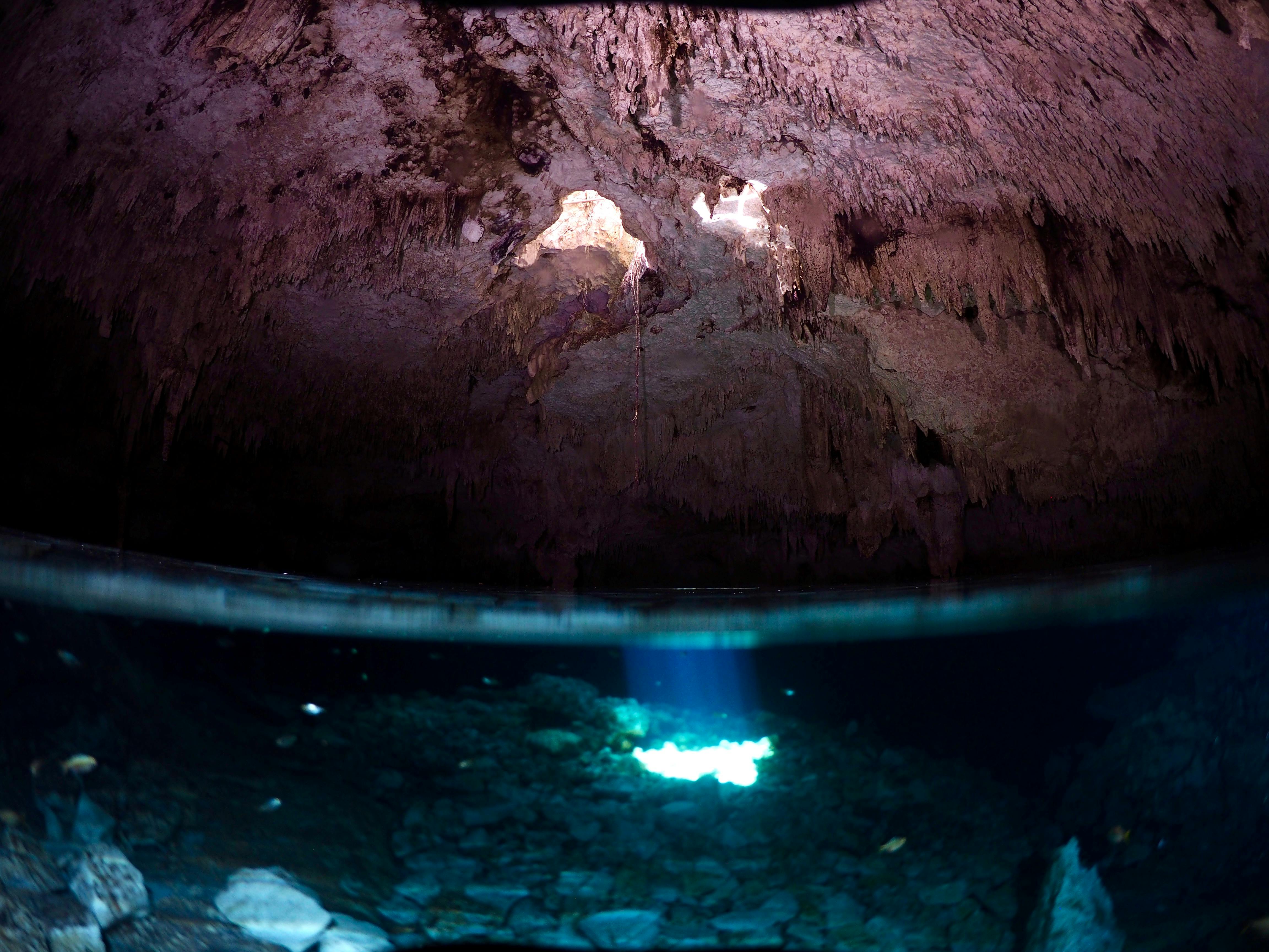 Jason Corder - Fotografía