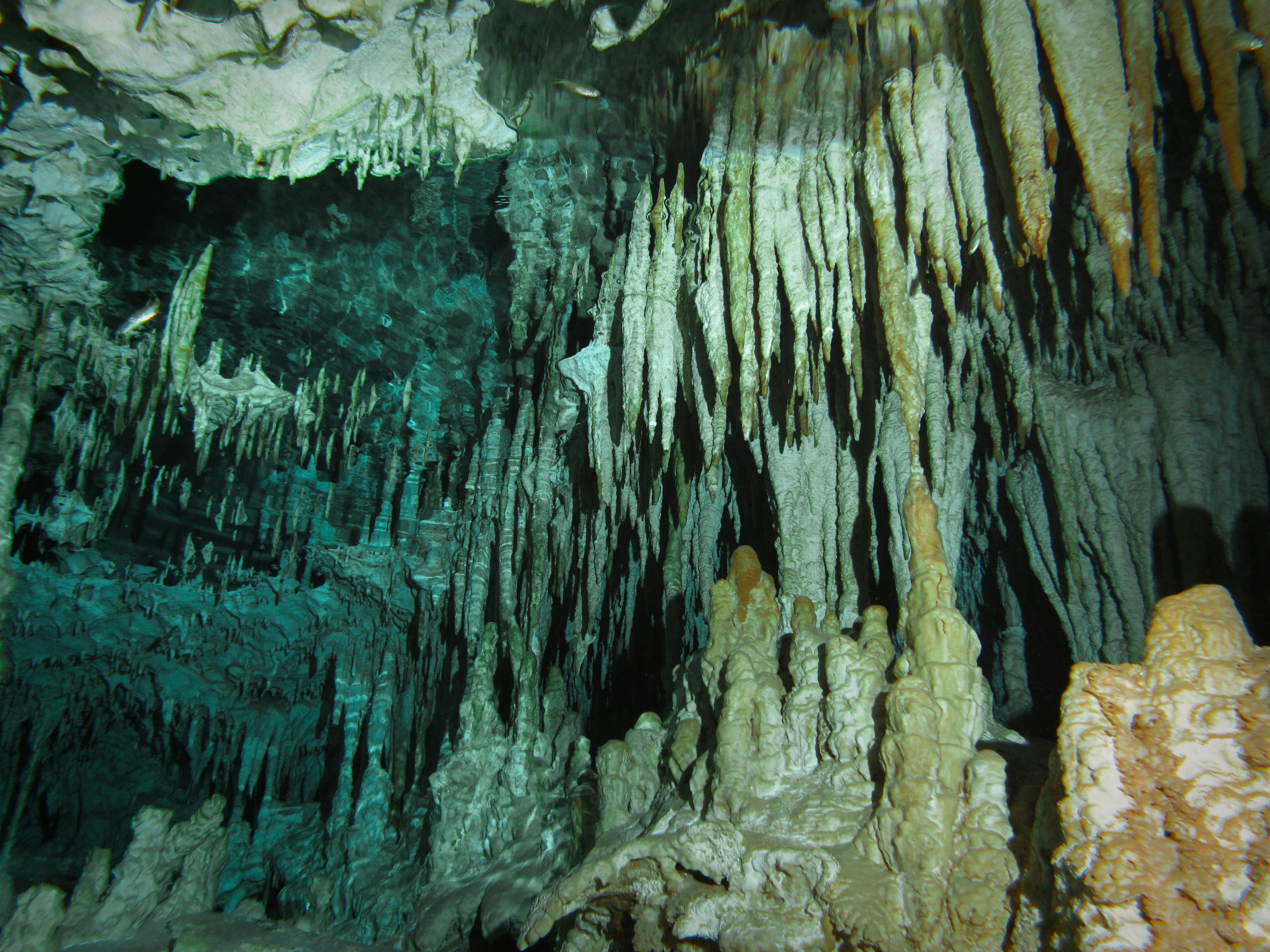 Jason Corder - Fotografía