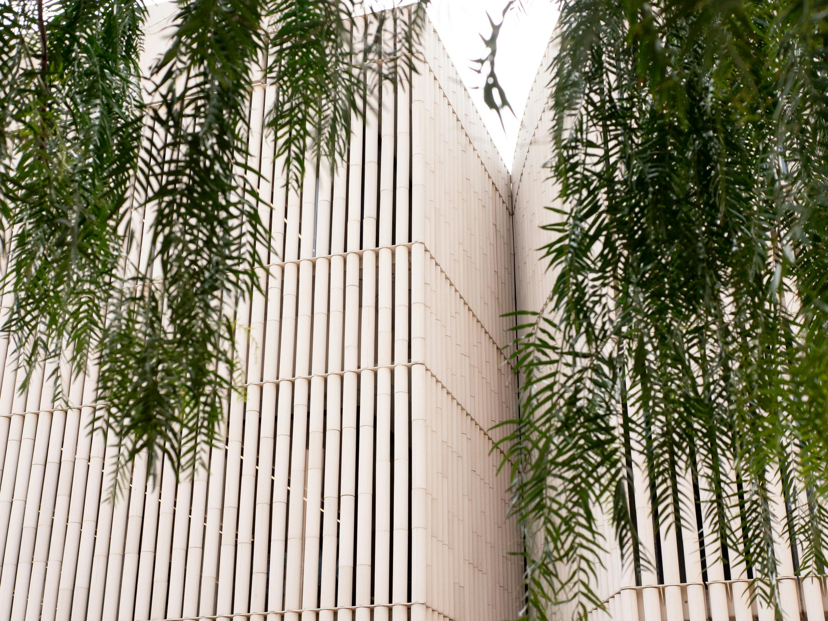 Building With Leaves Photos, Download The BEST Free Building With ...