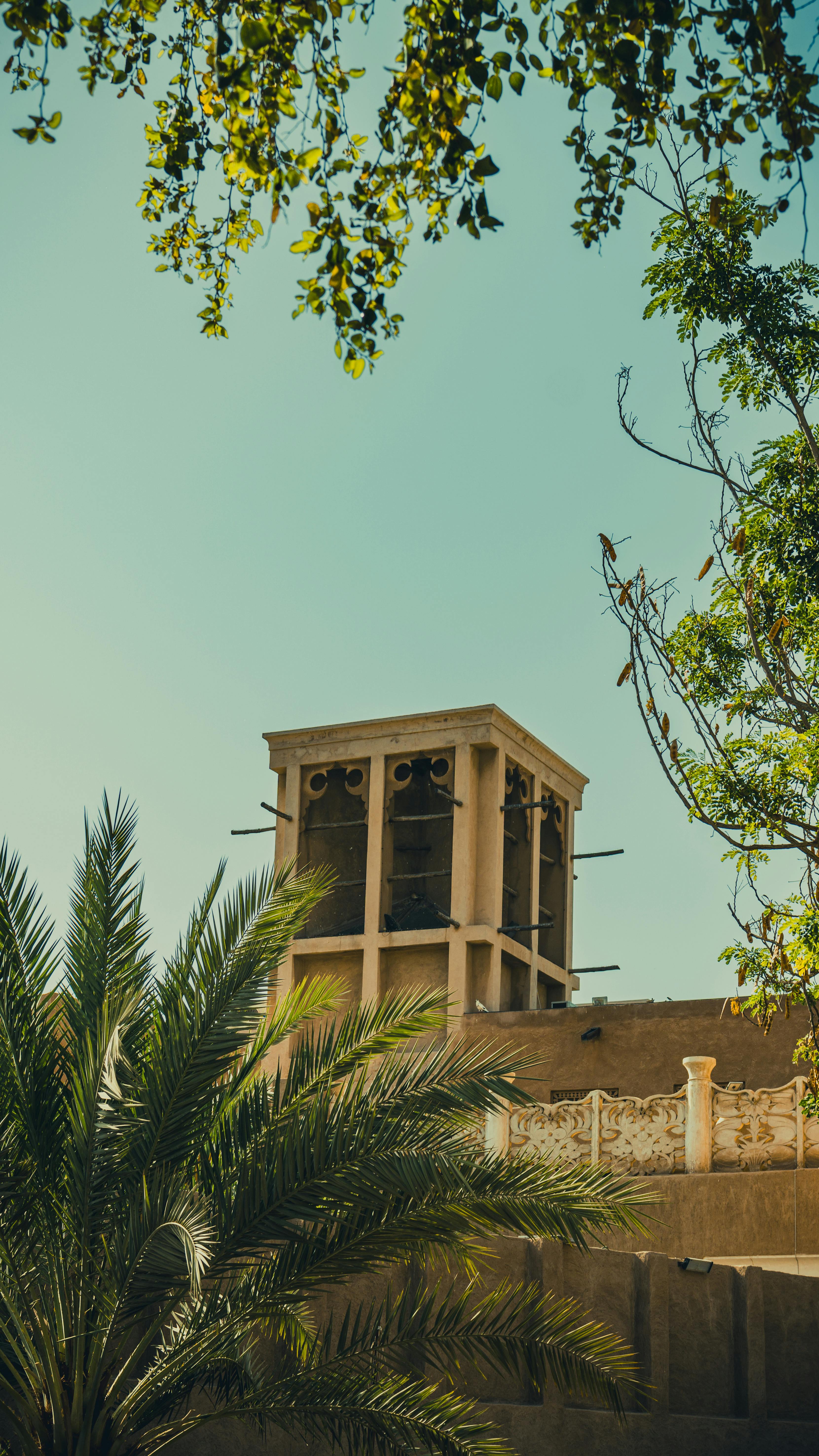 Walid Ahmad - 写真