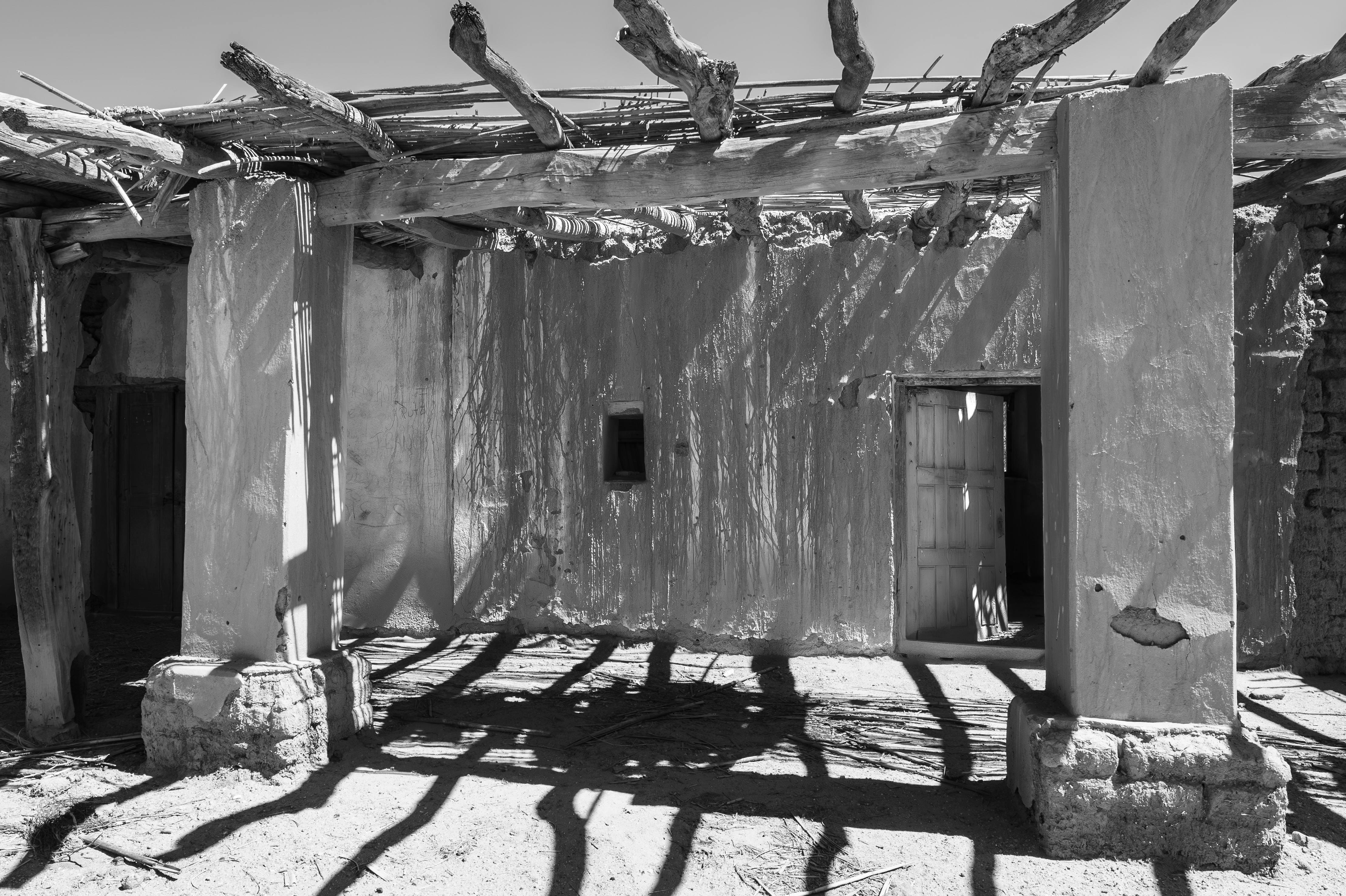 Adobe · Free Stock Photo