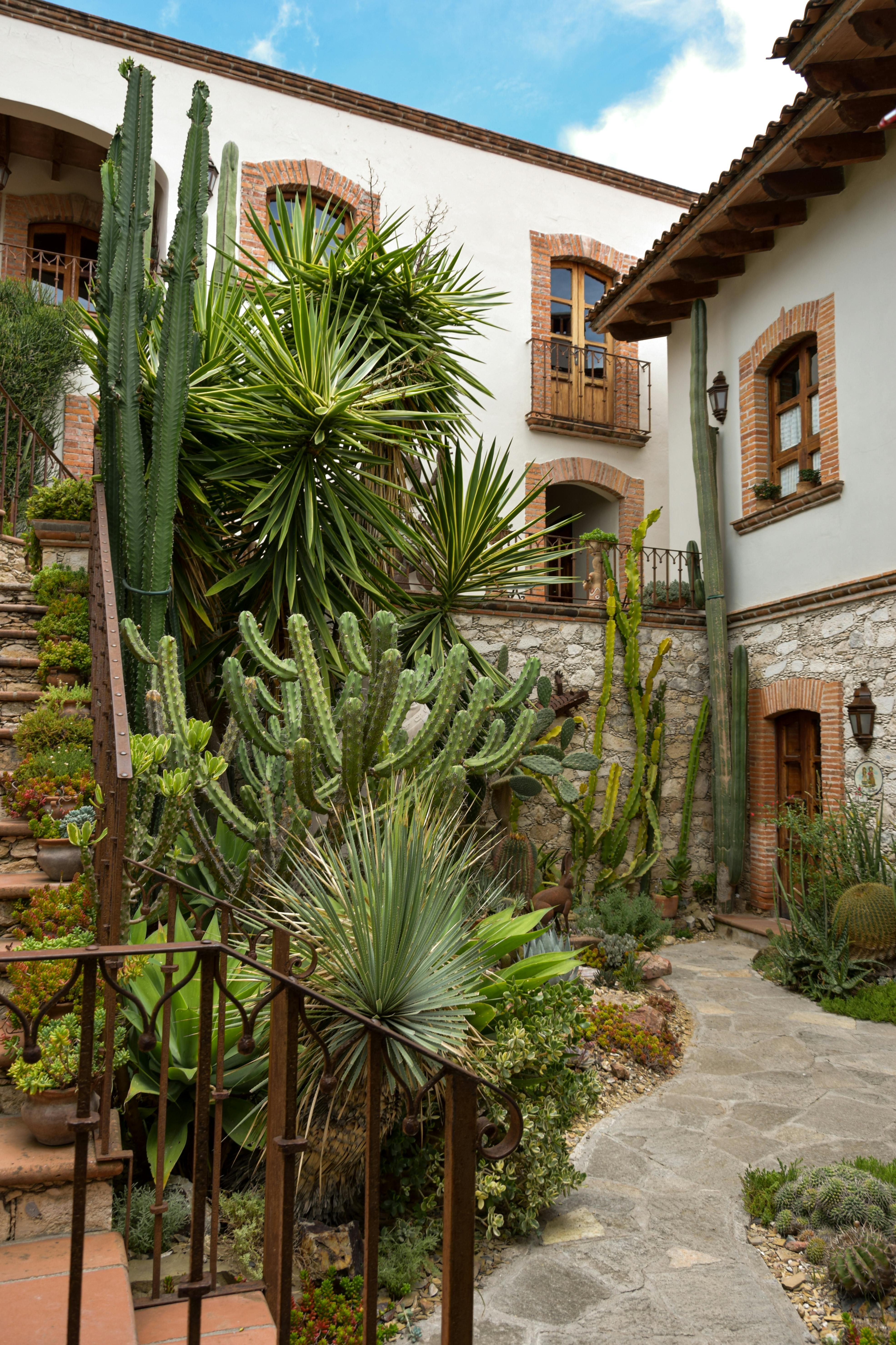 House In Mexico Photos, Download The BEST Free House In Mexico Stock ...