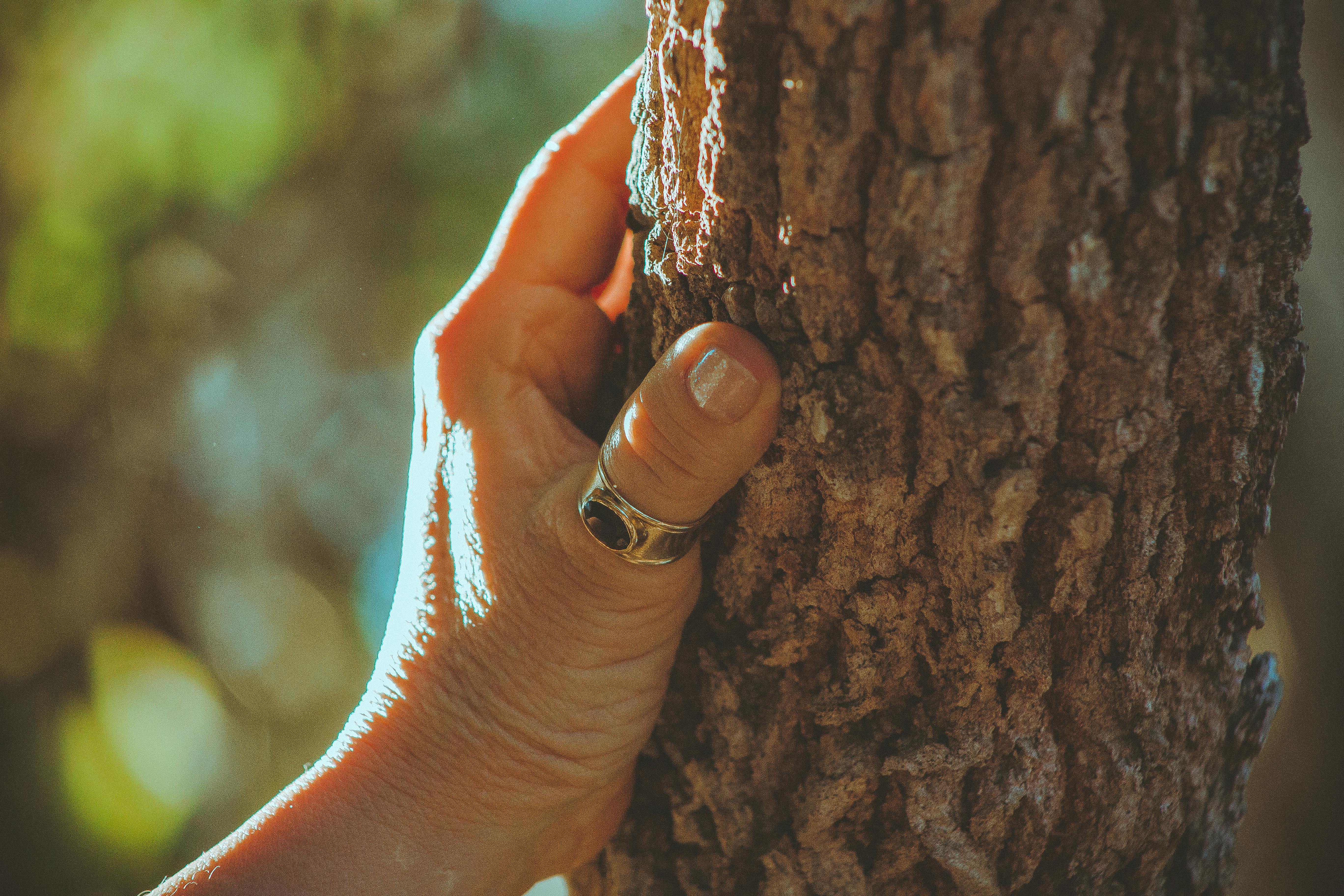 Close-up Photo of Hand Wearing Ring Holding Tree Trunk · Free Stock Photo
