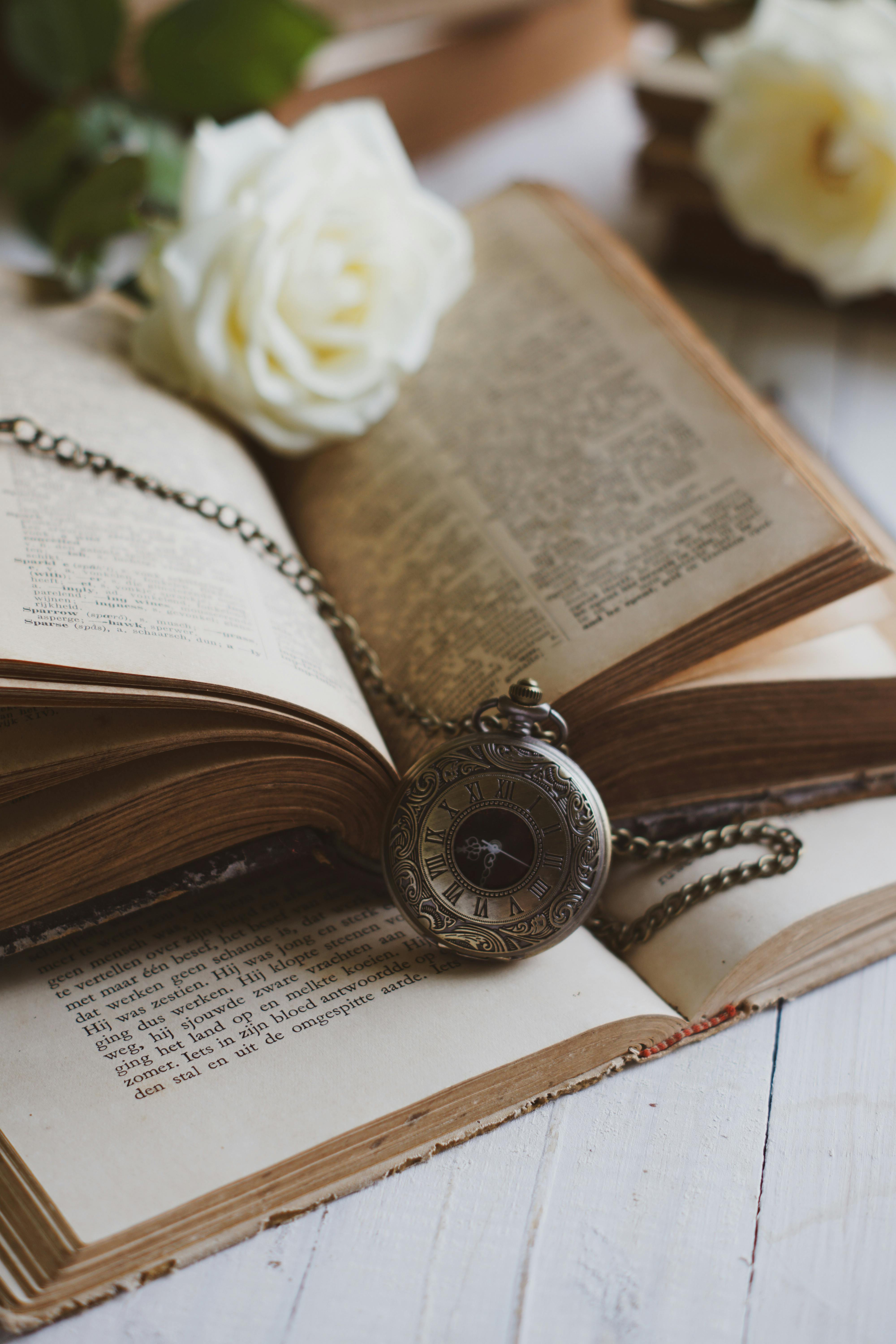 Close up of an Open Book · Free Stock Photo