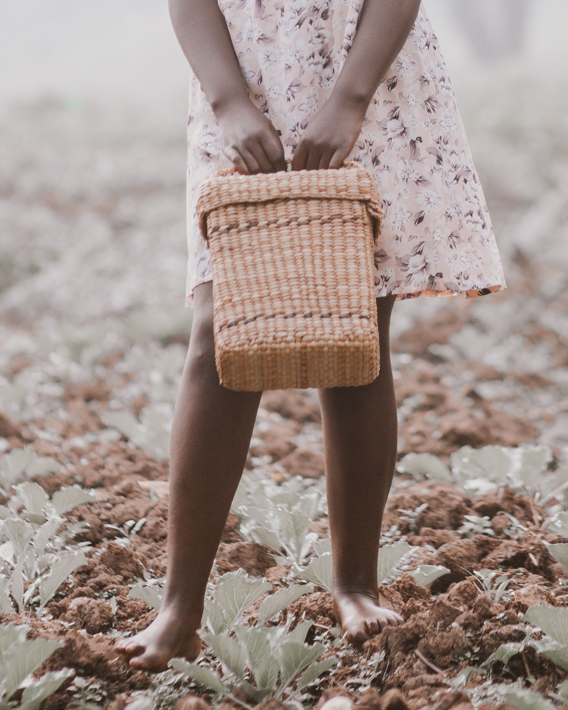 A Person Holding a Basket · Free Stock Photo