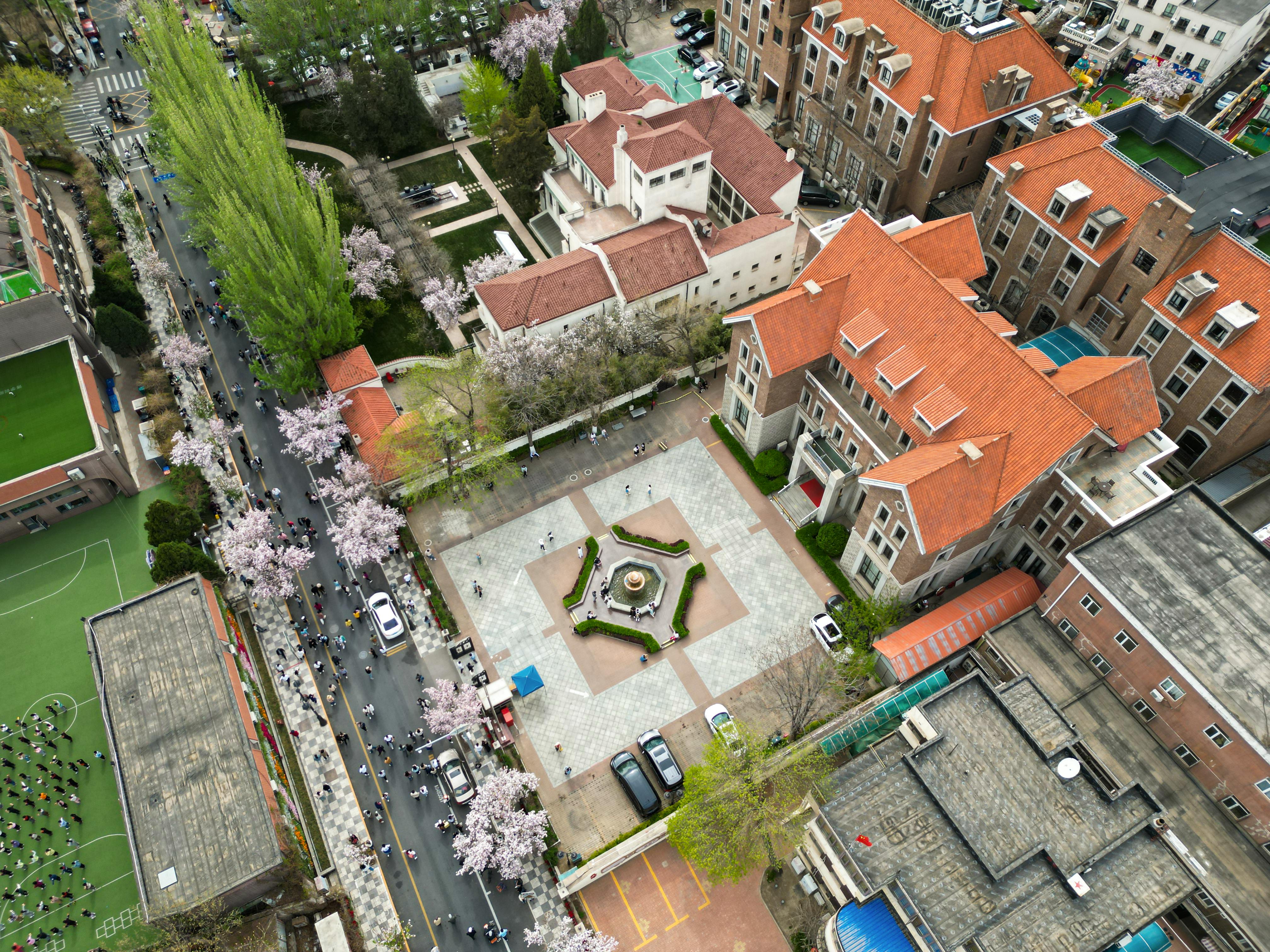 Birds Eye View of Buildings · Free Stock Photo