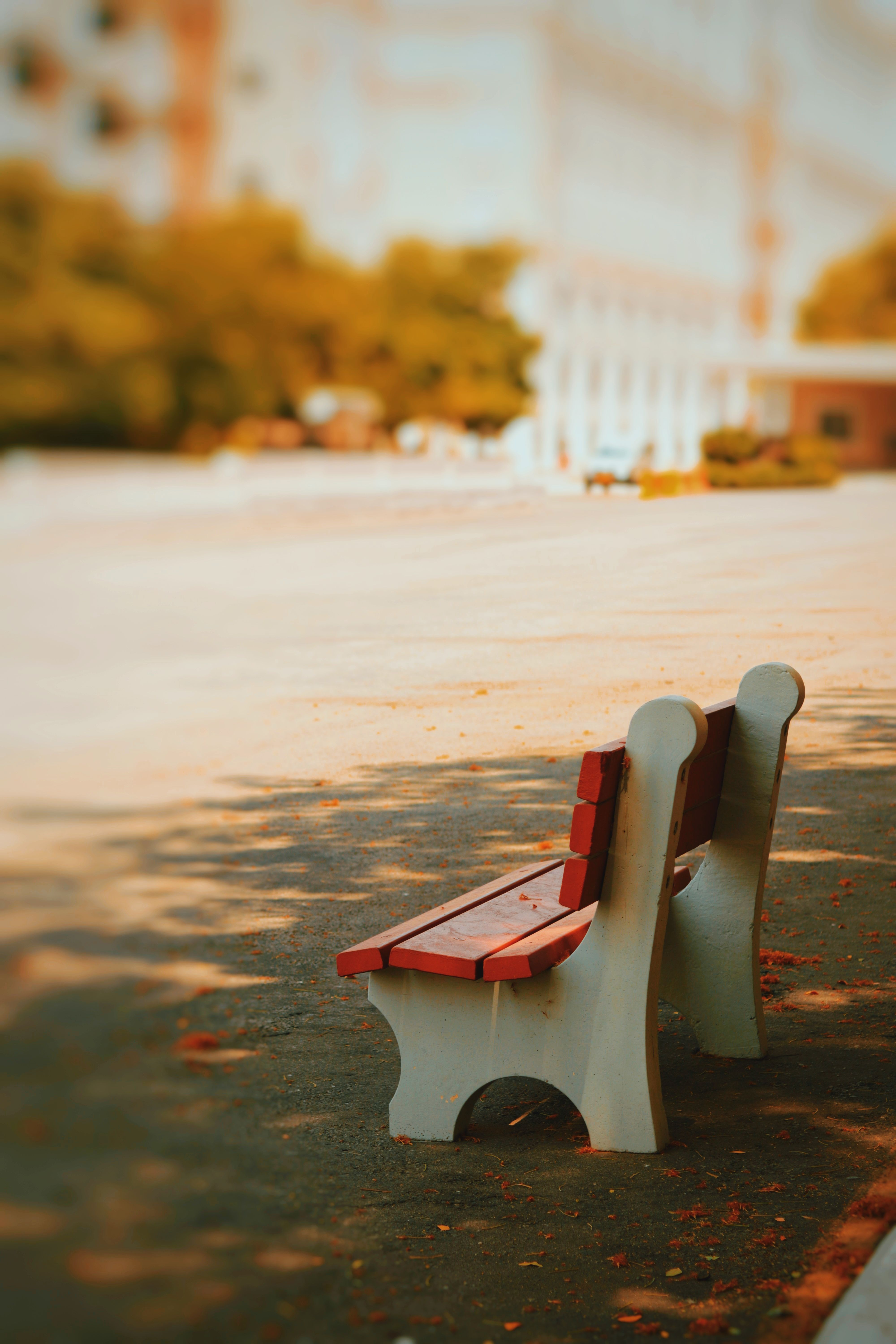 A Bench in a City · Free Stock Photo