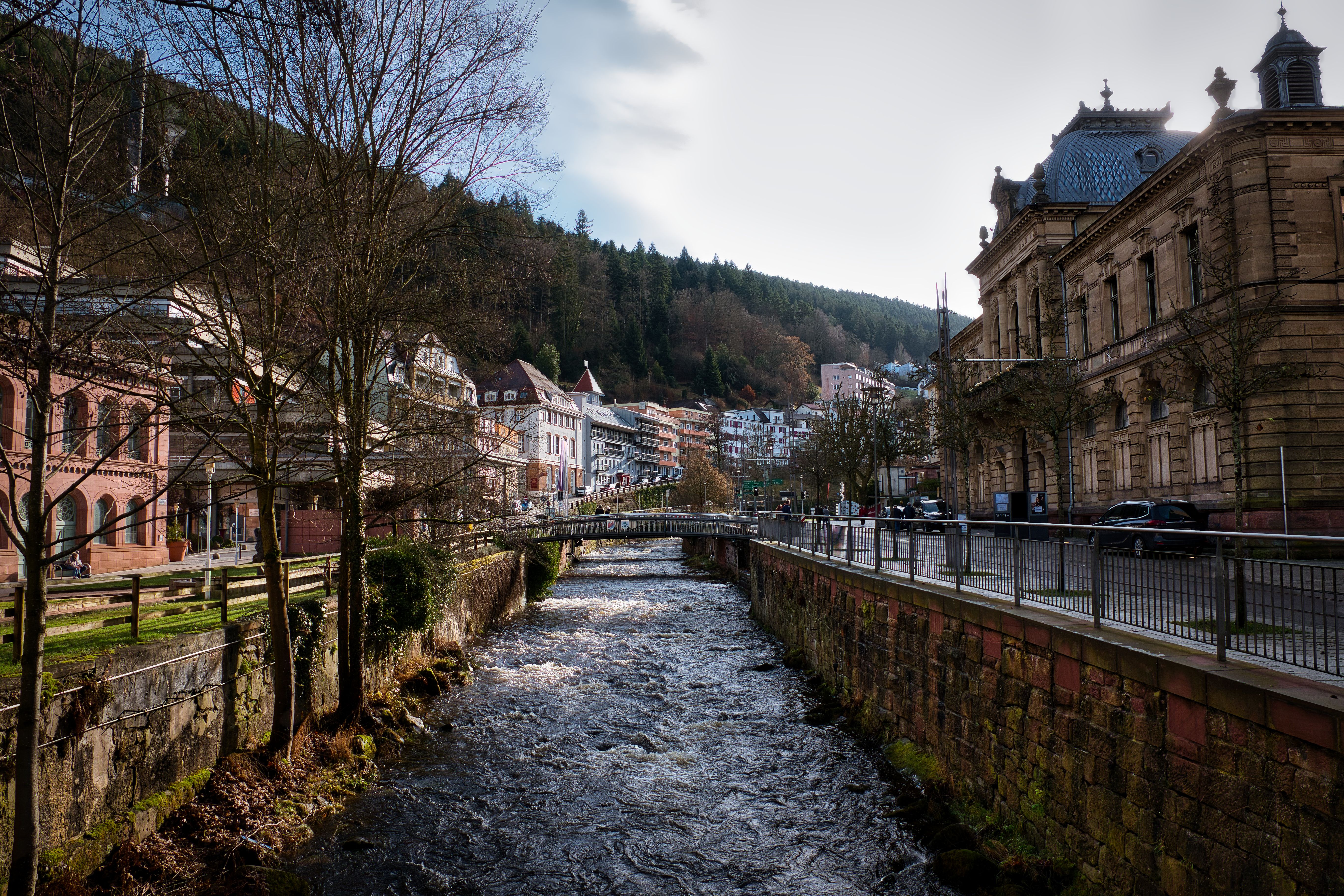 Townscape with Houses and a River · Free Stock Photo