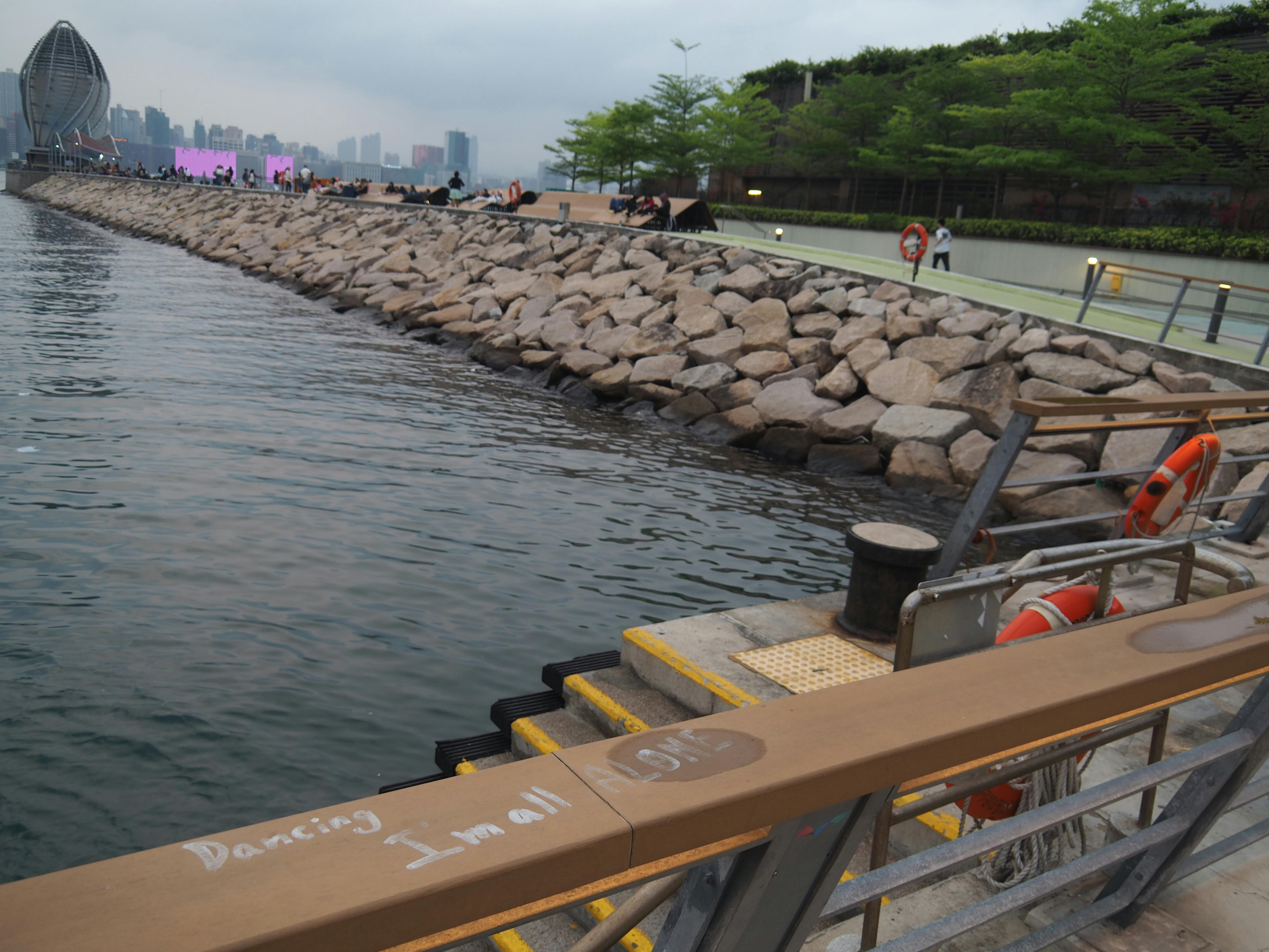 terry narcissan tsui - Fotografía