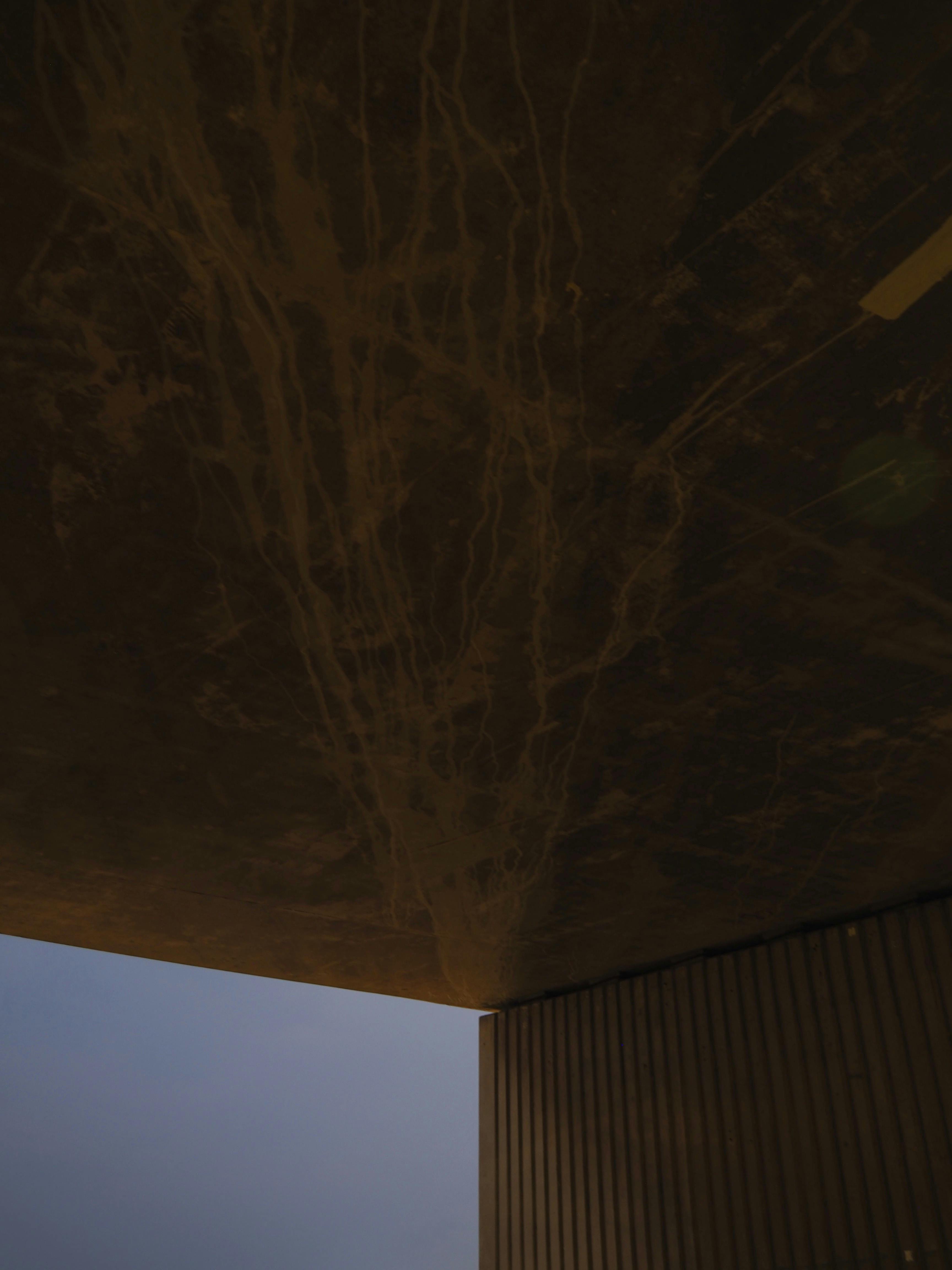 terry narcissan tsui - Fotografía