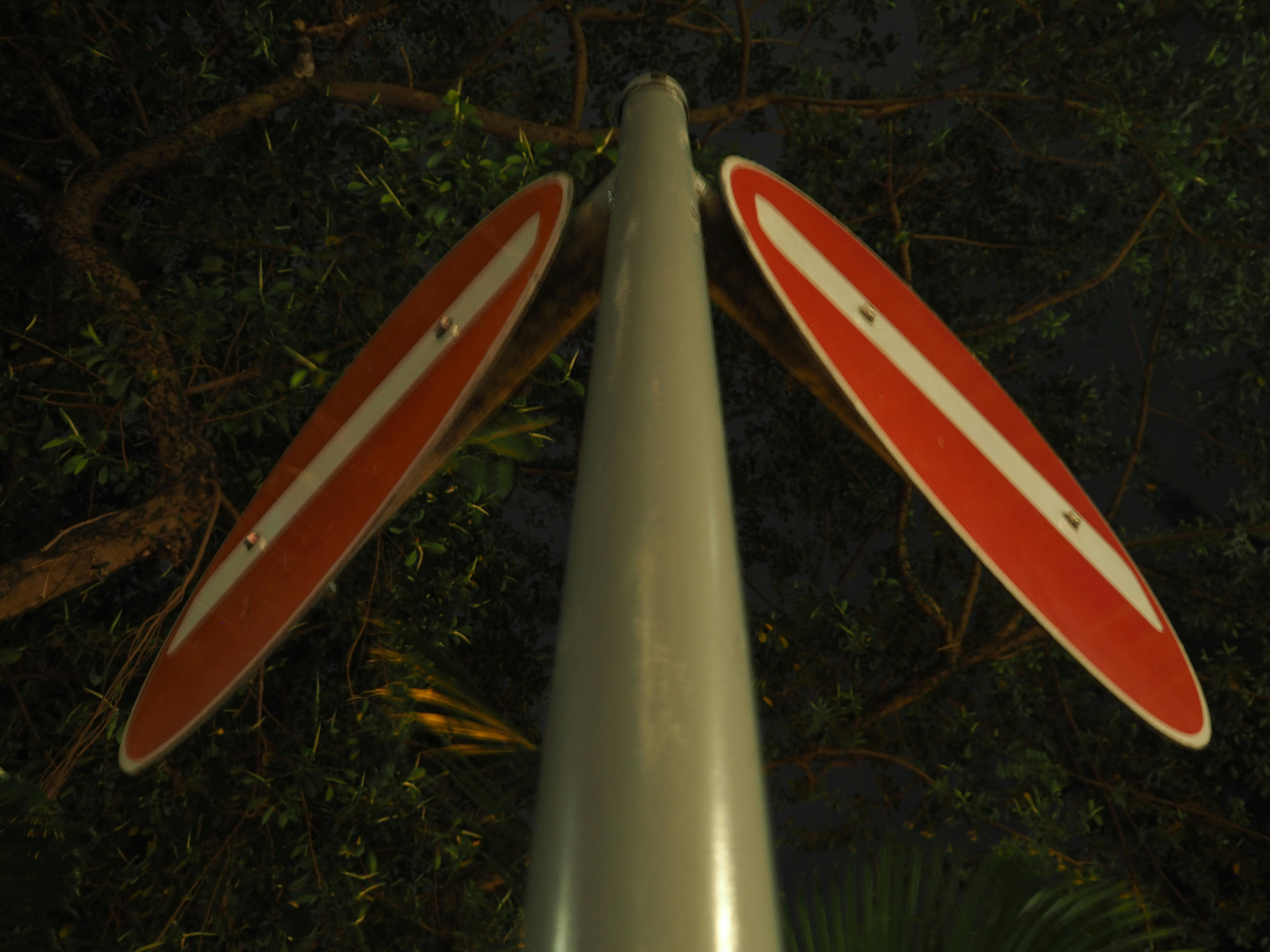 terry narcissan tsui - Fotografía