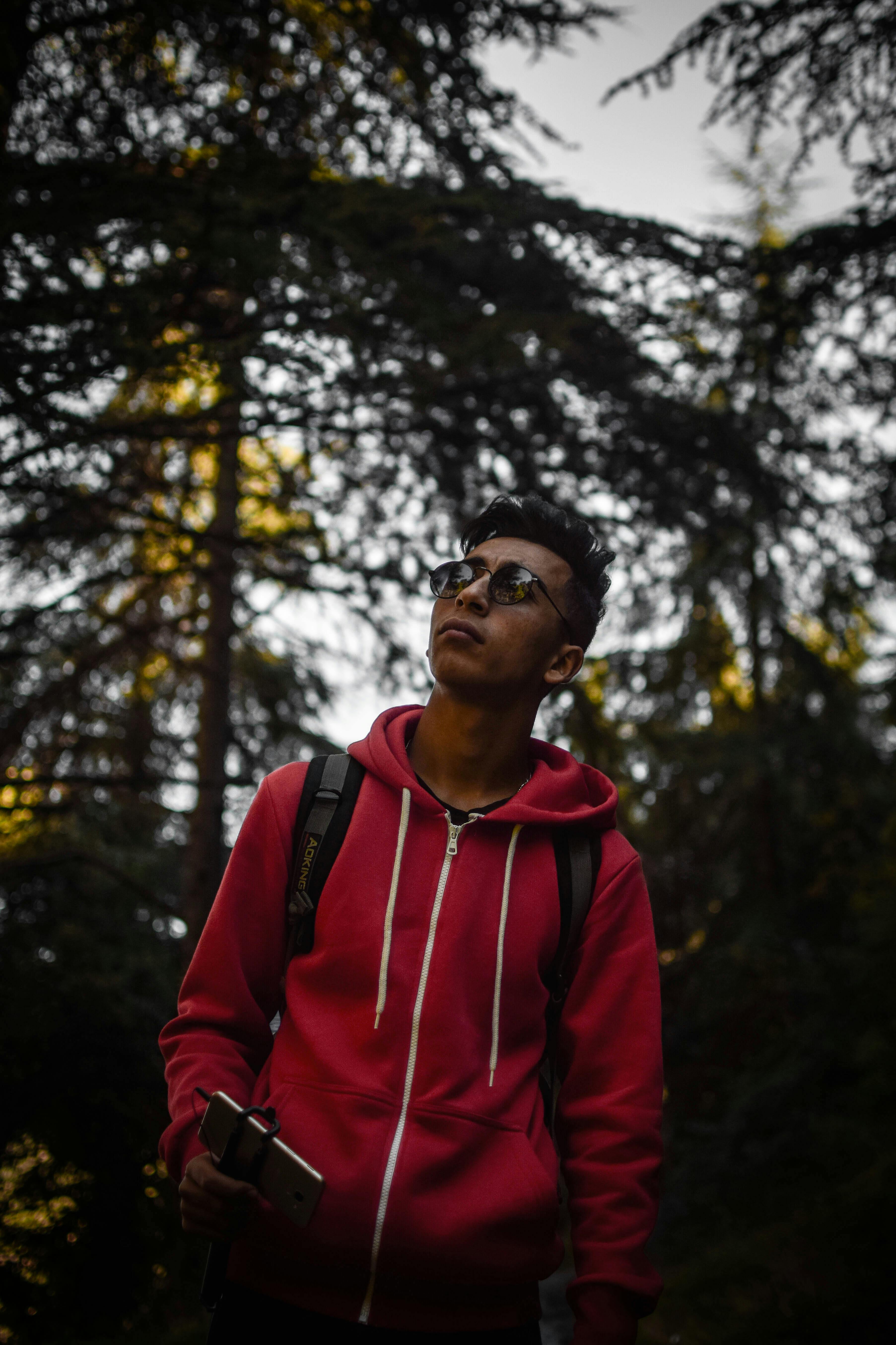 Man in the Forest Looking Up · Free Stock Photo