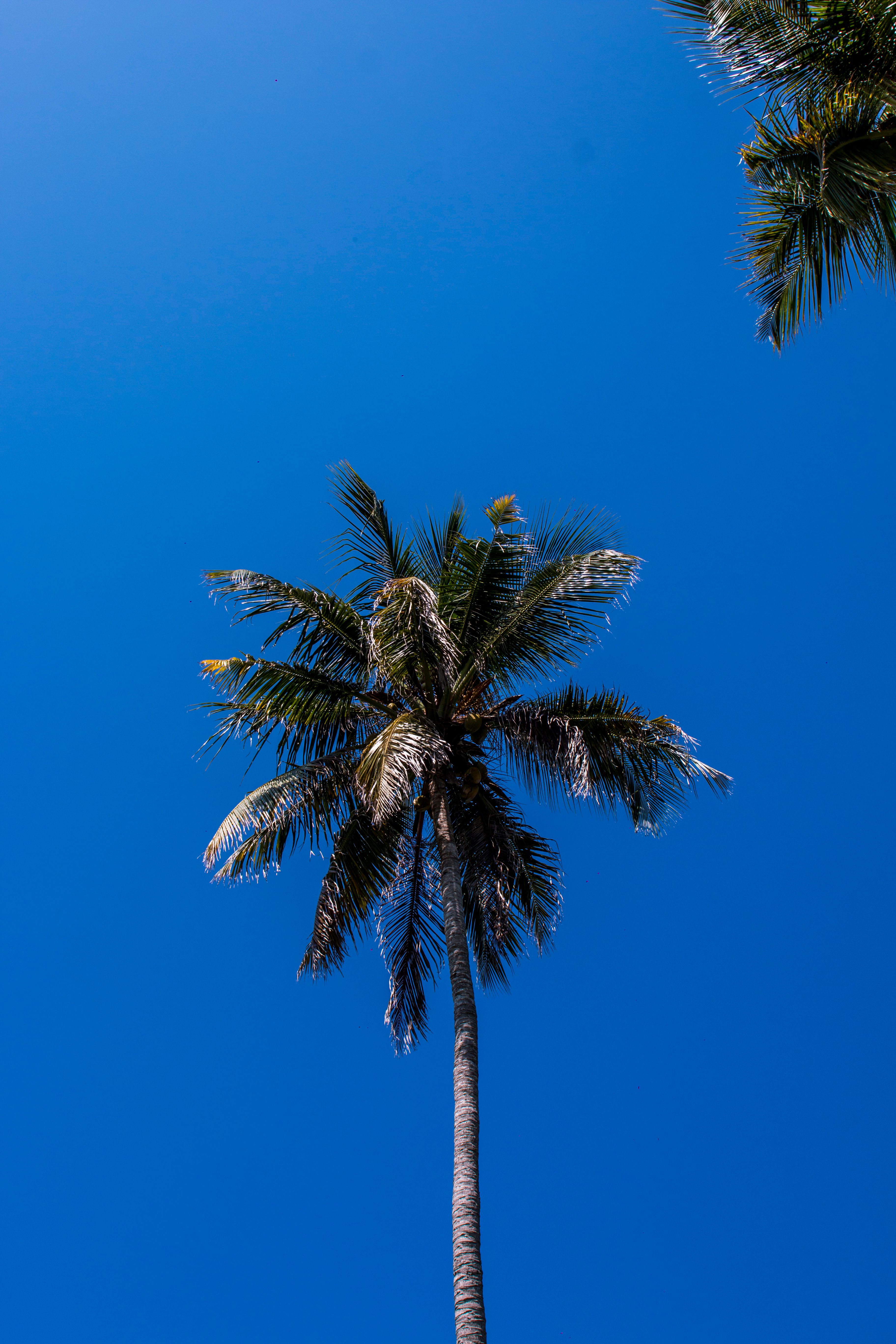 Free stock photo of beach, island, sea