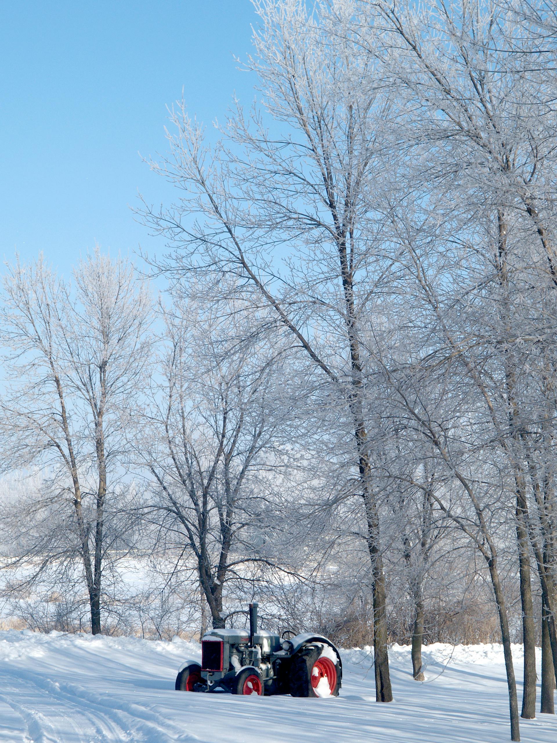 Winter 12 Photos & Videos Collected by Christopher Moon